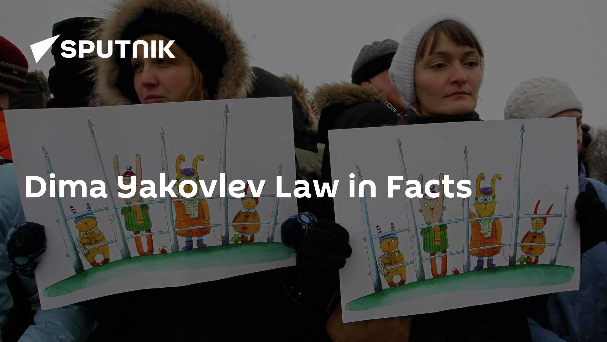 Dima Yakovlev Law in Facts - 21.12.2014, Sputnik International