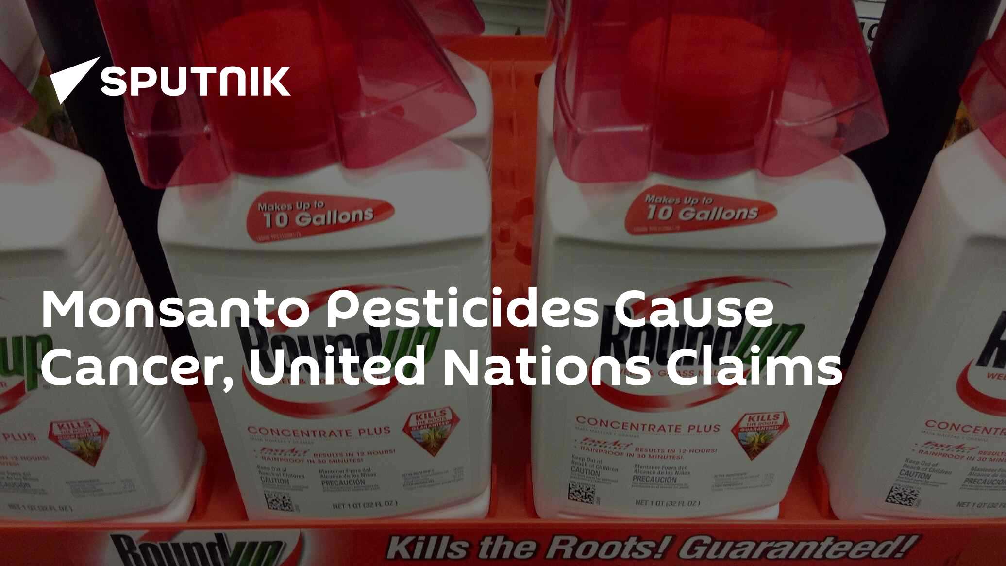 Monsanto Pesticides Cause Cancer, United Nations Claims - 20.03.2015 ...