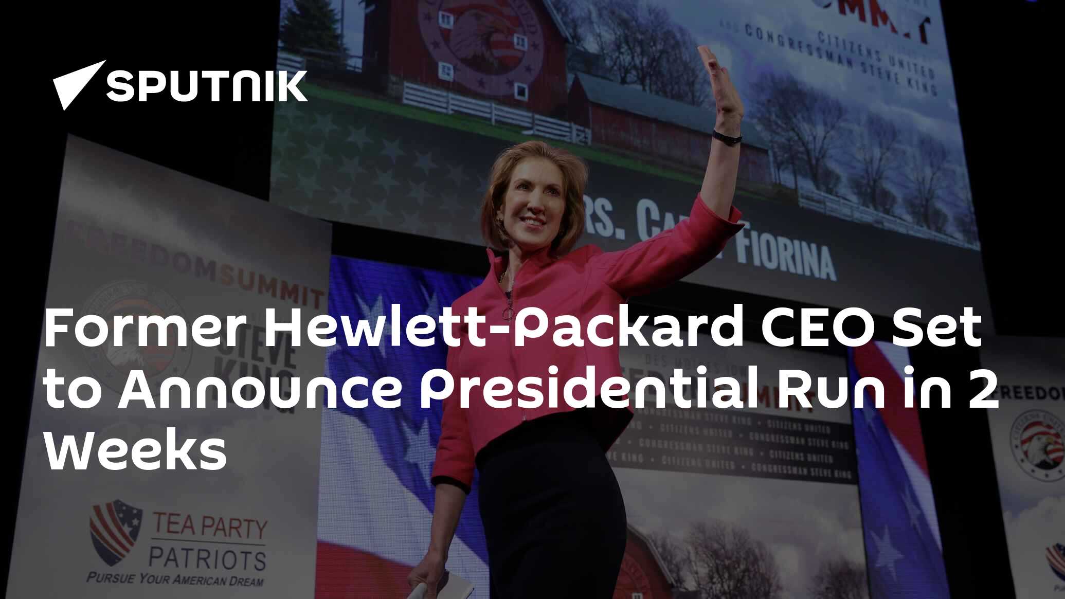 Former Hewlett-Packard CEO Set to Announce Presidential Run in 2 Weeks ...
