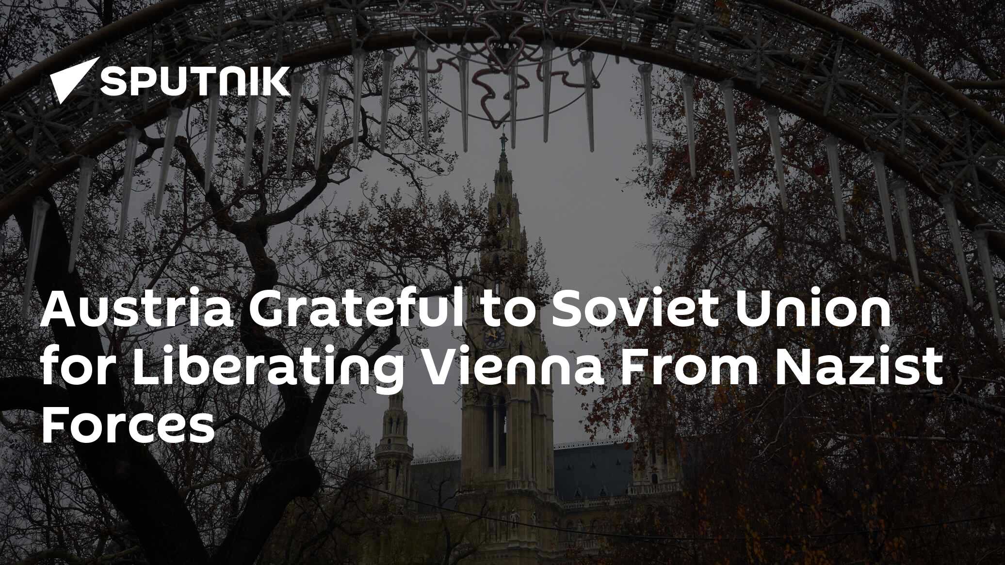 Austria Grateful to Soviet Union for Liberating Vienna From Nazist ...