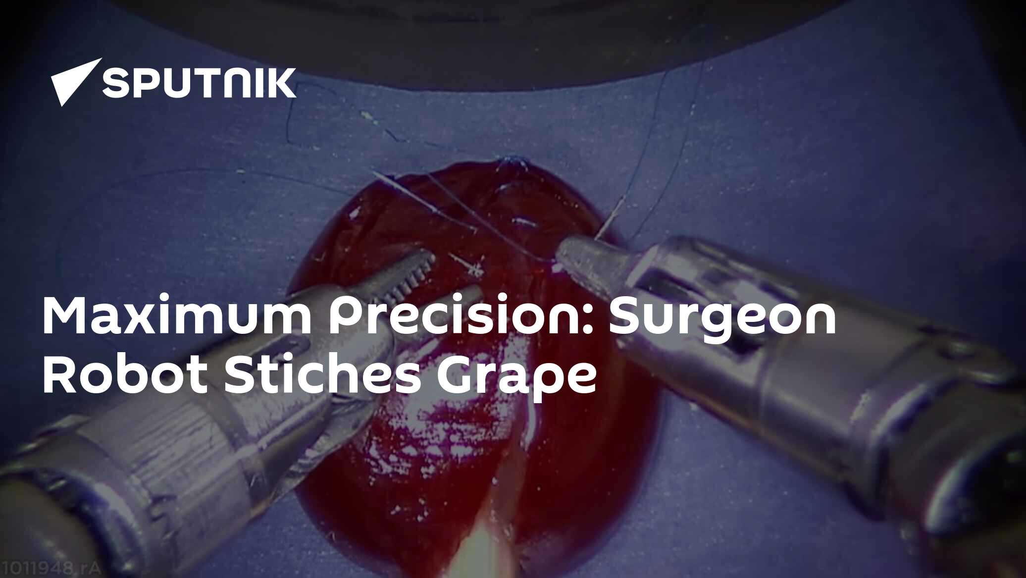 Maximum Precision: Surgeon Robot Stiches Grape - 13.05.2015, Sputnik ...