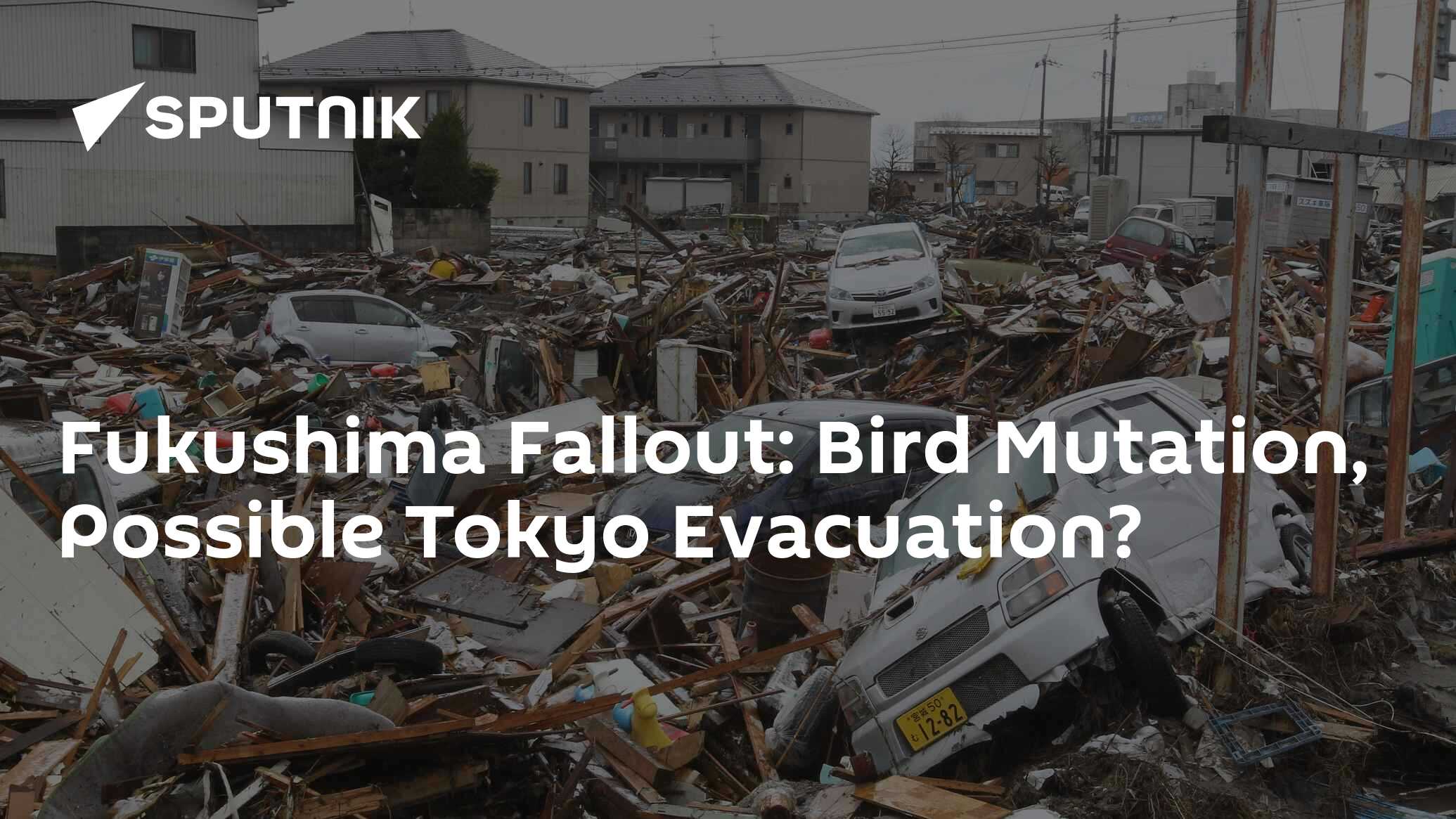 Fukushima Fallout: Bird Mutation, Possible Tokyo Evacuation? - 19.06. ...
