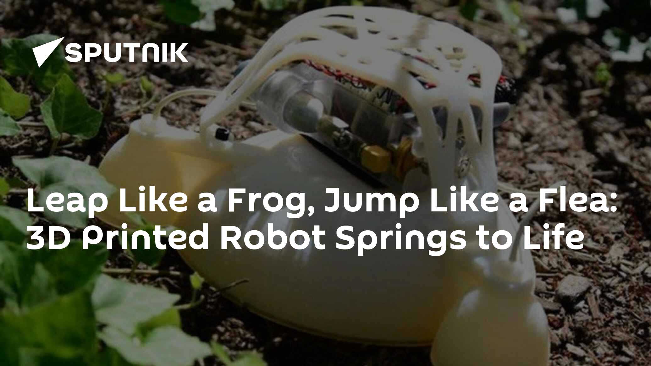 Leap Like a Frog, Jump Like a Flea: 3D Printed Robot Springs to Life ...