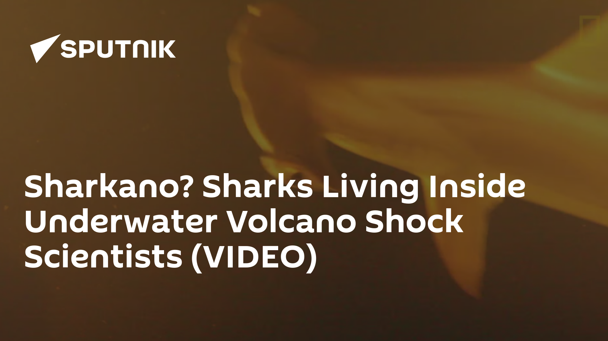 Sharkano? Sharks Living Inside Underwater Volcano Shock Scientists ...