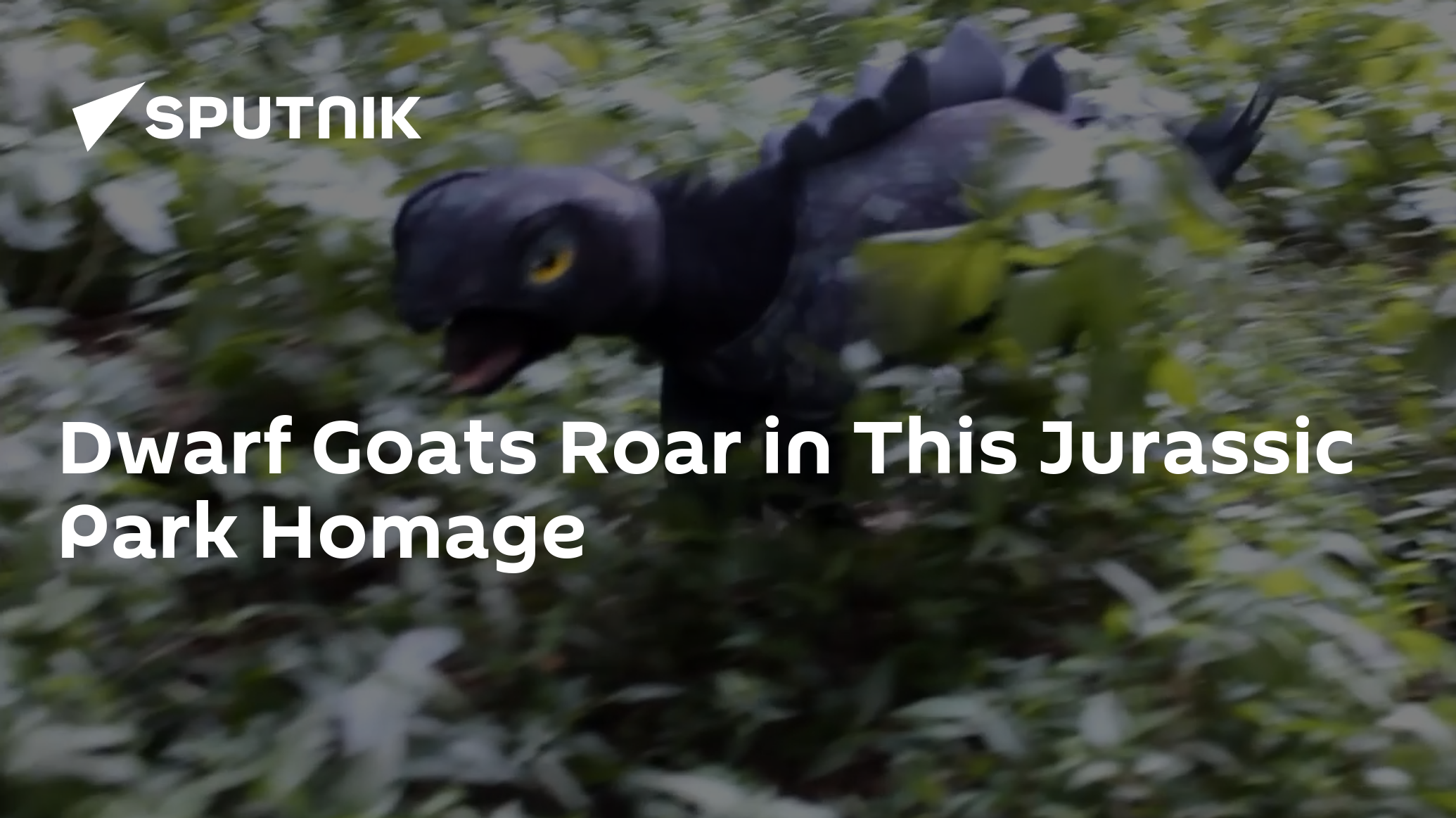 Dwarf Goats Roar in This Jurassic Park Homage - 14.07.2015, Sputnik ...