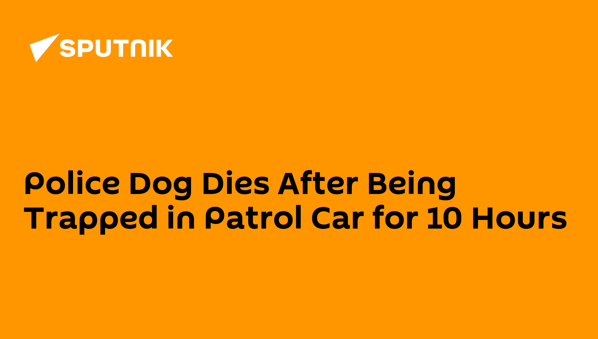 Police Dog Dies After Being Trapped in Patrol Car for 10 Hours - 19.07. ...