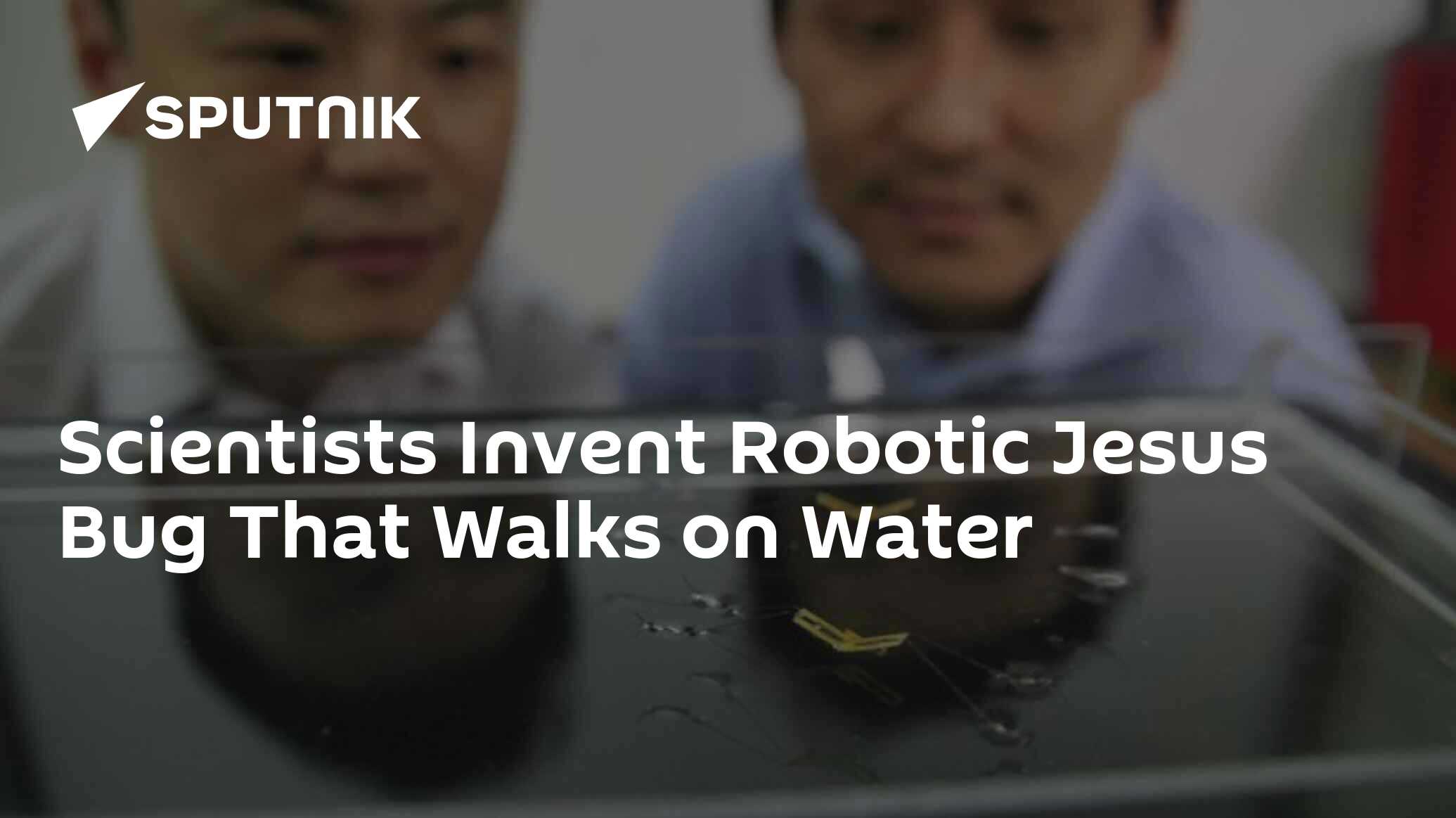Scientists Invent Robotic Jesus Bug That Walks on Water - 02.08.2015 ...