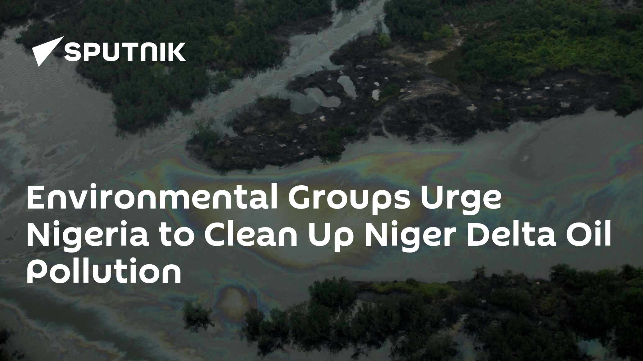 Environmental Groups Urge Nigeria to Clean Up Niger Delta Oil Pollution ...