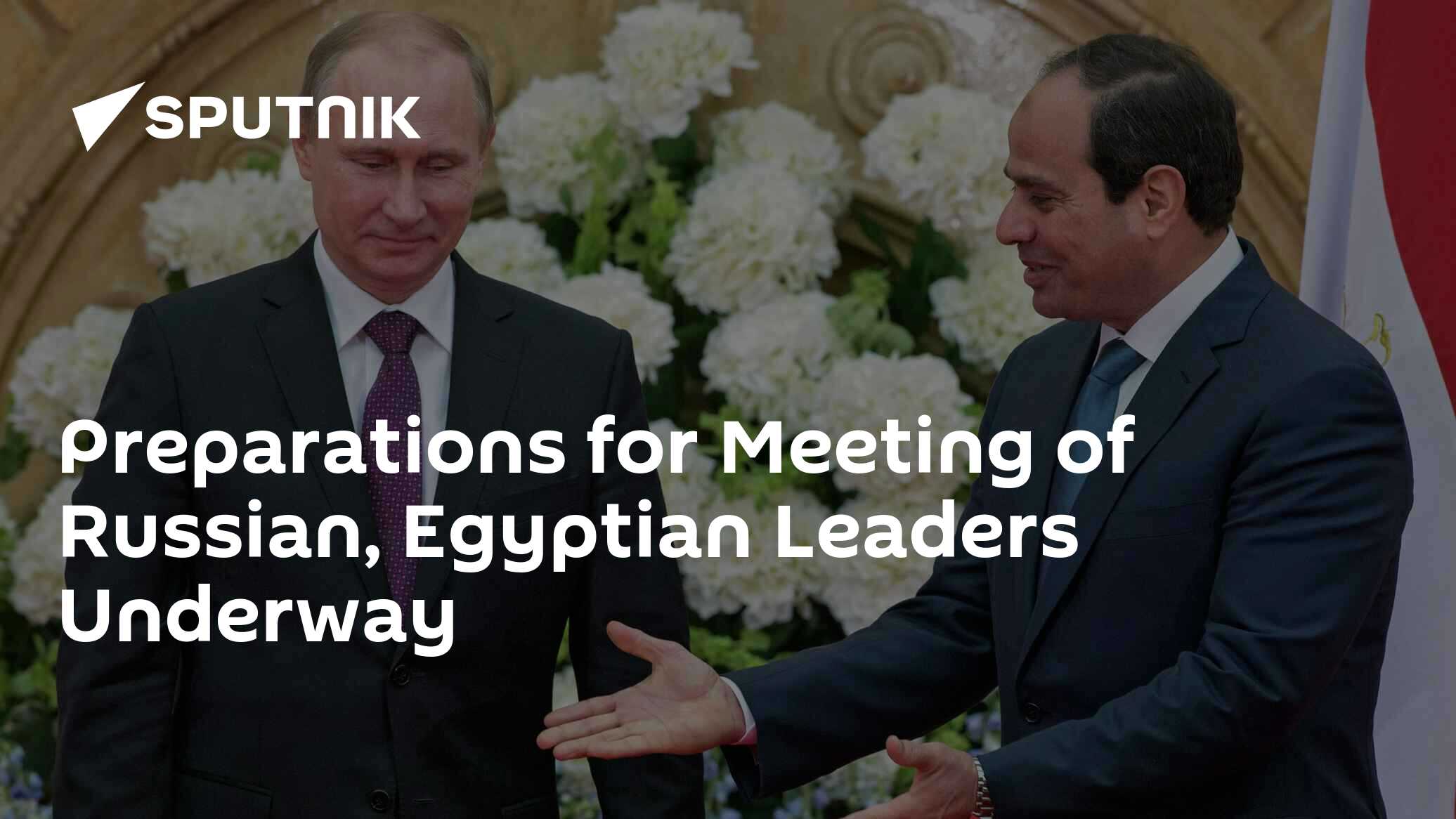 Preparations for Meeting of Russian, Egyptian Leaders Underway - 07.08. ...
