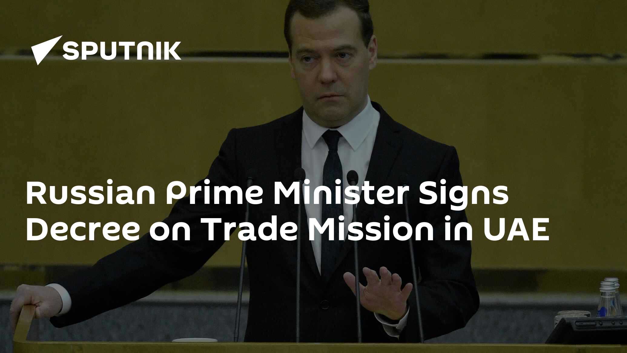Russian Prime Minister Signs Decree on Trade Mission in UAE - 19.08. ...