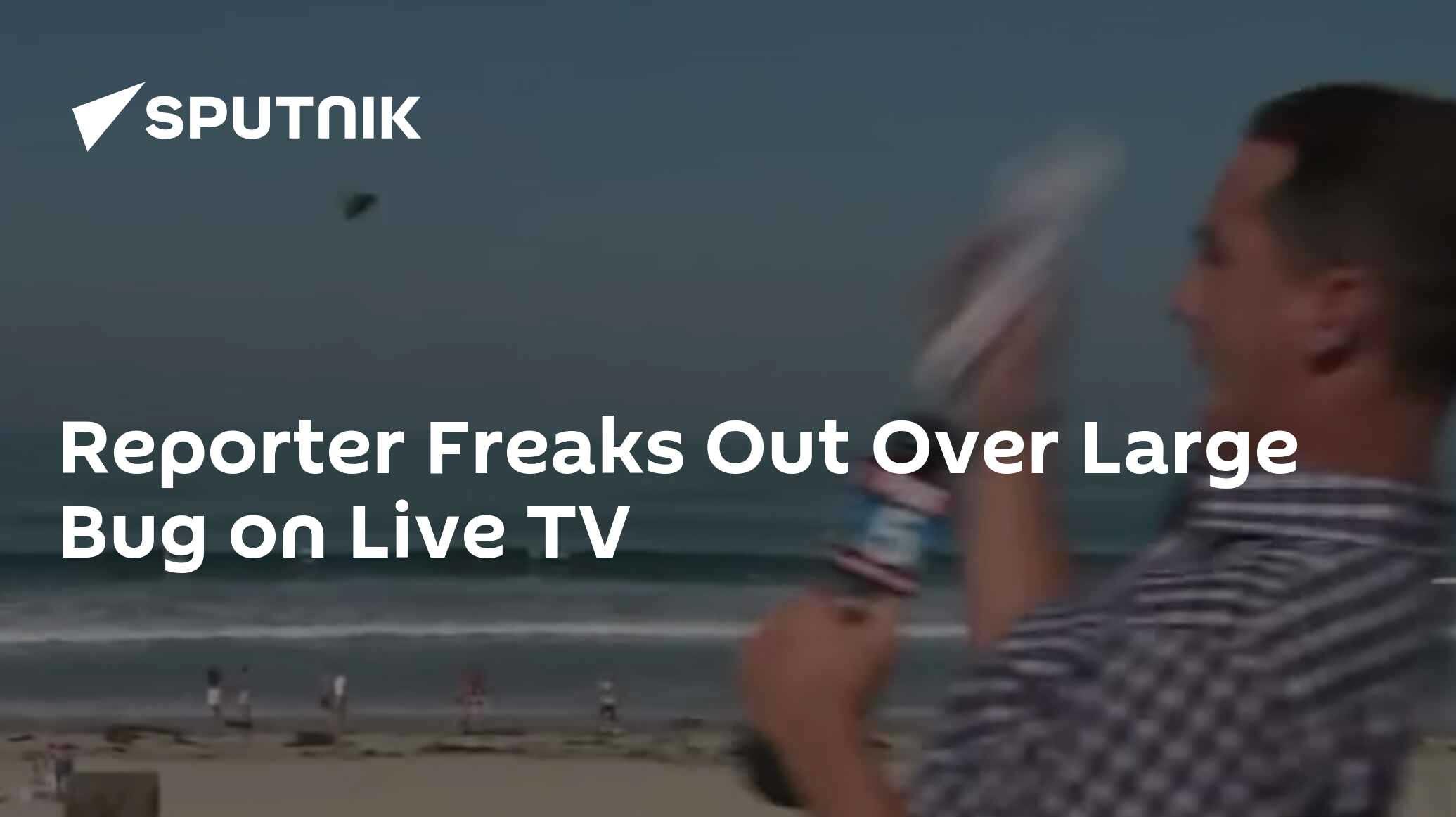 Reporter Freaks Out Over Large Bug on Live TV - 01.09.2015, Sputnik ...
