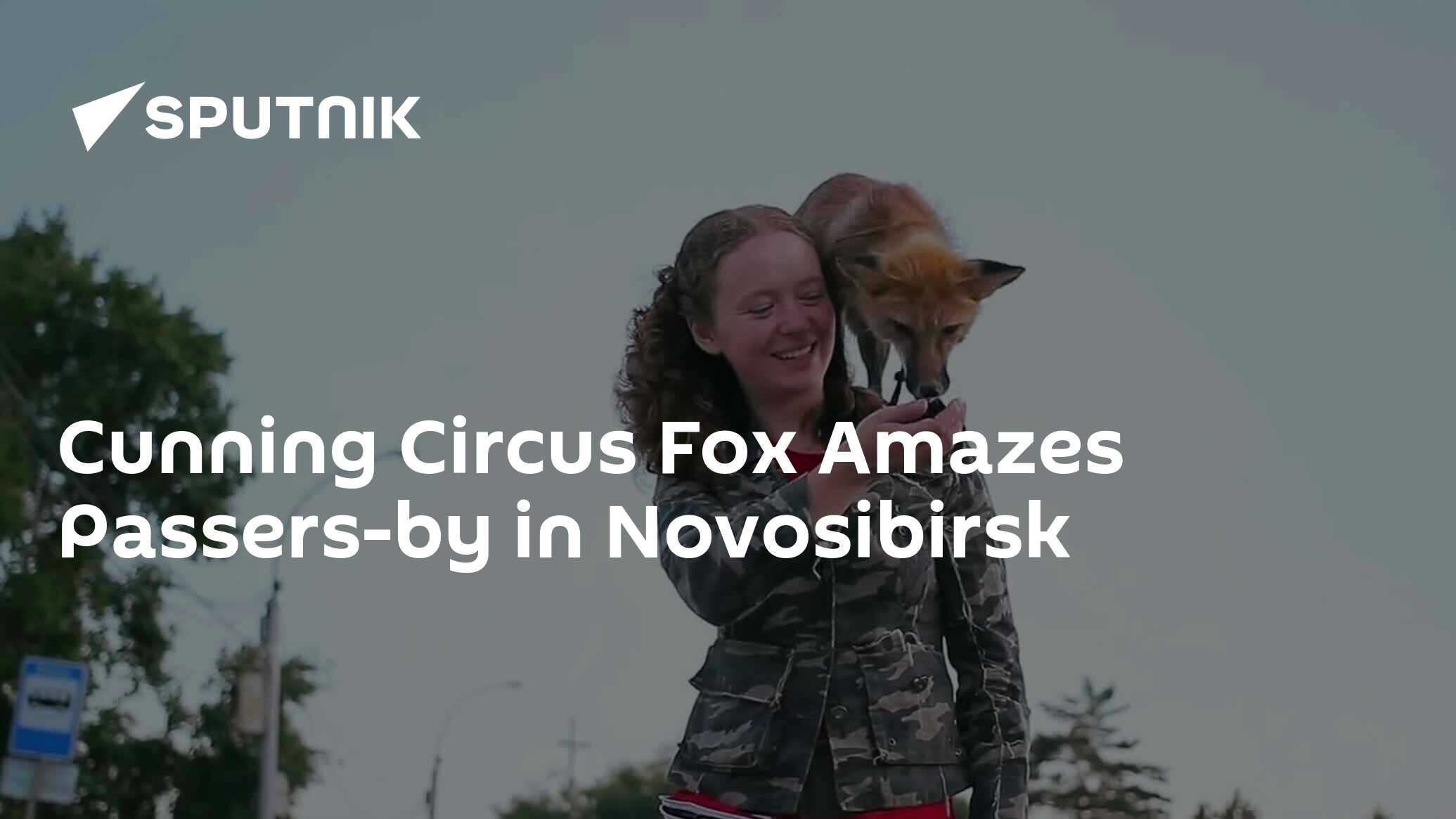 Cunning Circus Fox Amazes Passers-by in Novosibirsk - 21.09.2015 ...