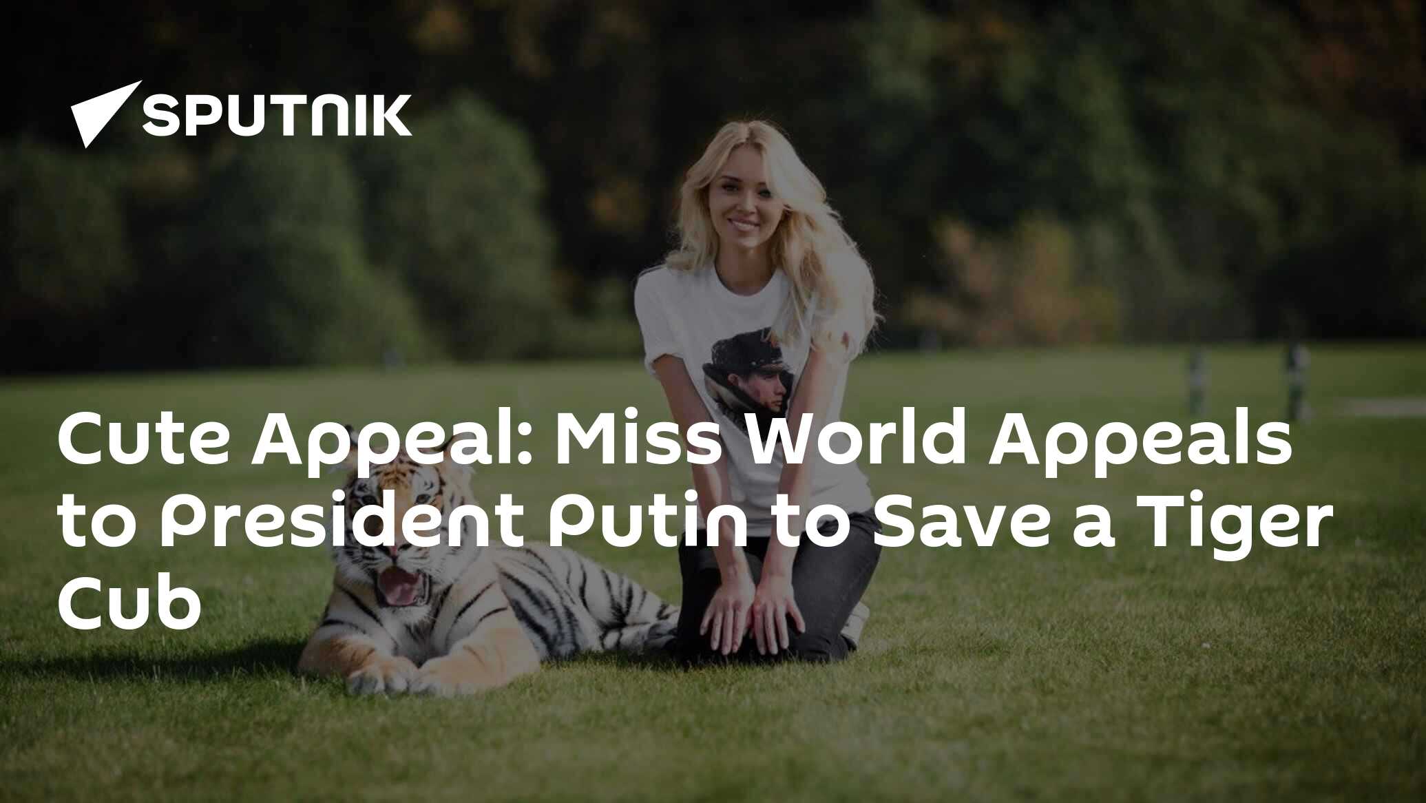 Cute Appeal: Miss World Appeals to President Putin to Save a Tiger Cub ...