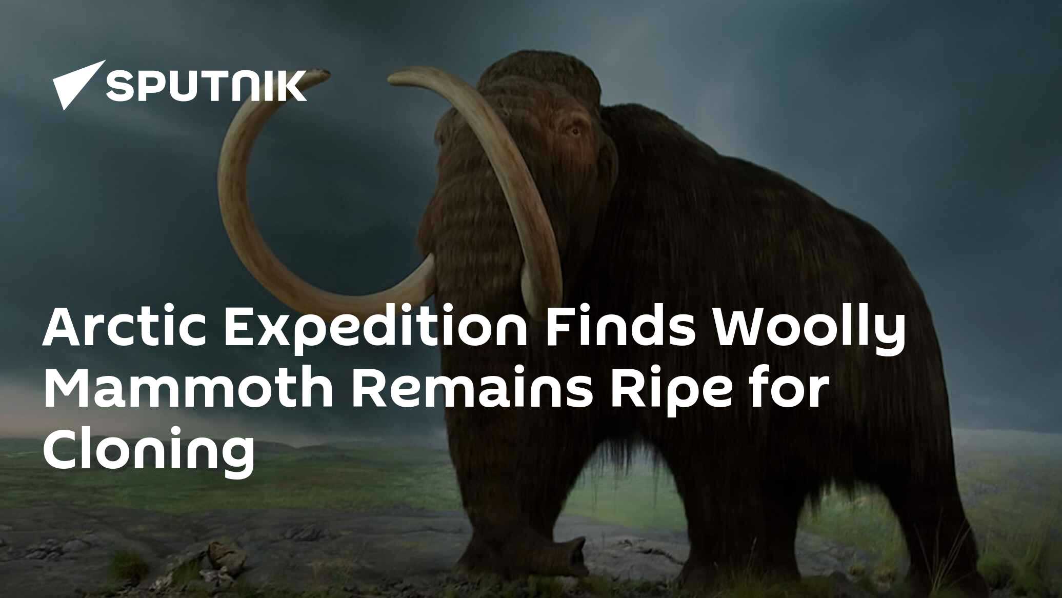 Arctic Expedition Finds Woolly Mammoth Remains Ripe for Cloning - 08.10 ...