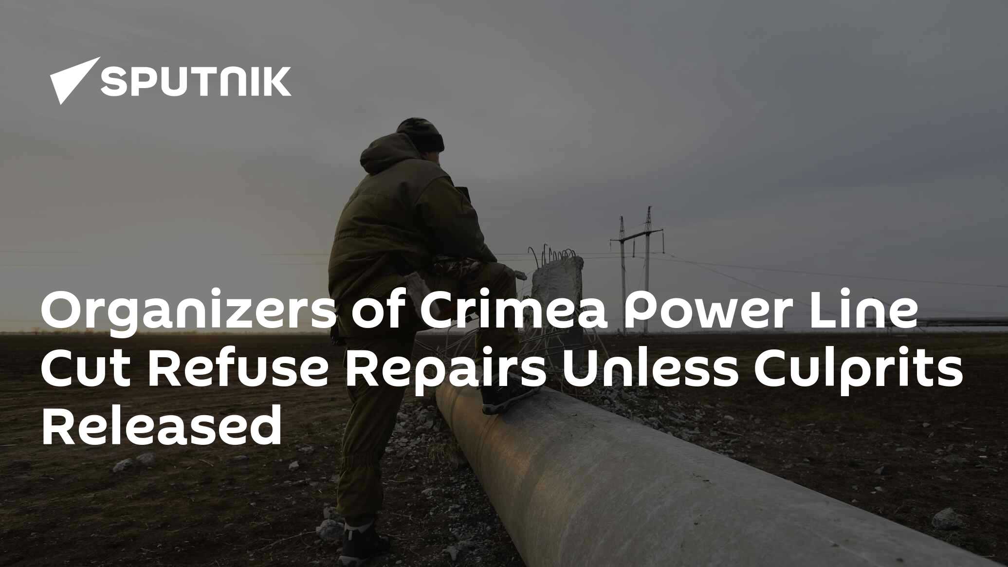 Organizers of Crimea Power Line Cut Refuse Repairs Unless Culprits ...