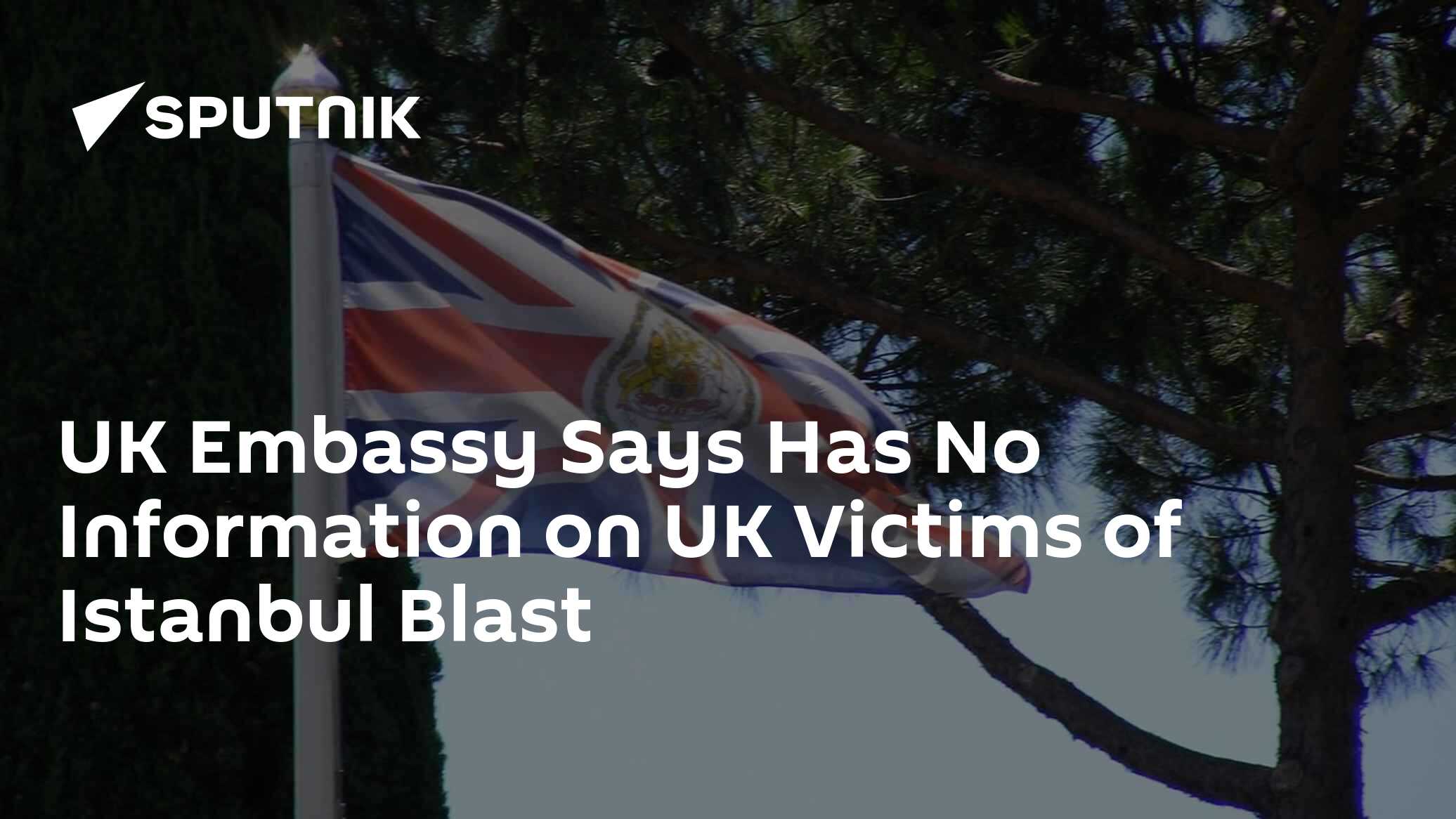 UK Embassy Says Has No Information on UK Victims of Istanbul Blast - 12 ...