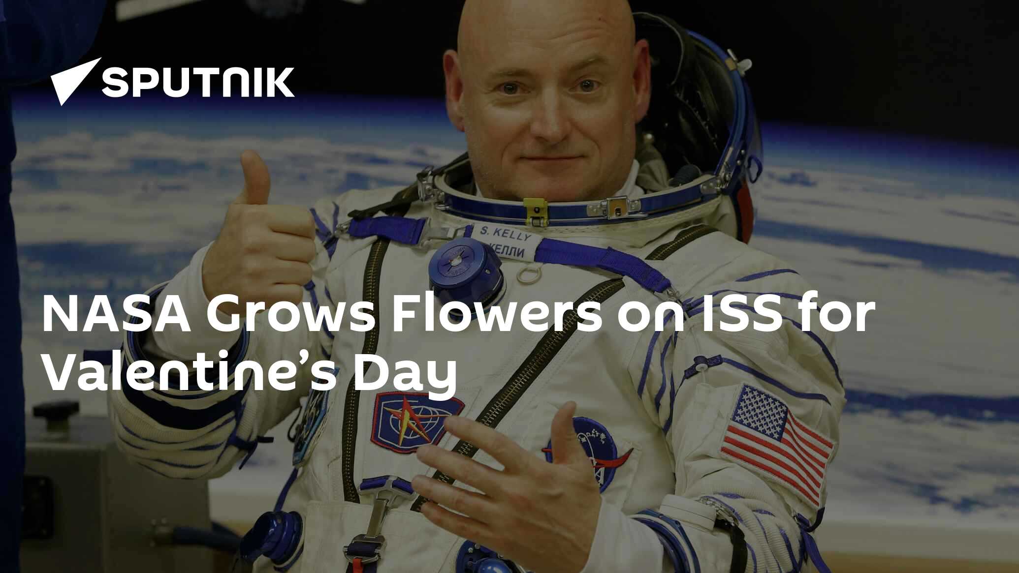 NASA Grows Flowers on ISS for Valentine’s Day - 17.02.2016, Sputnik ...