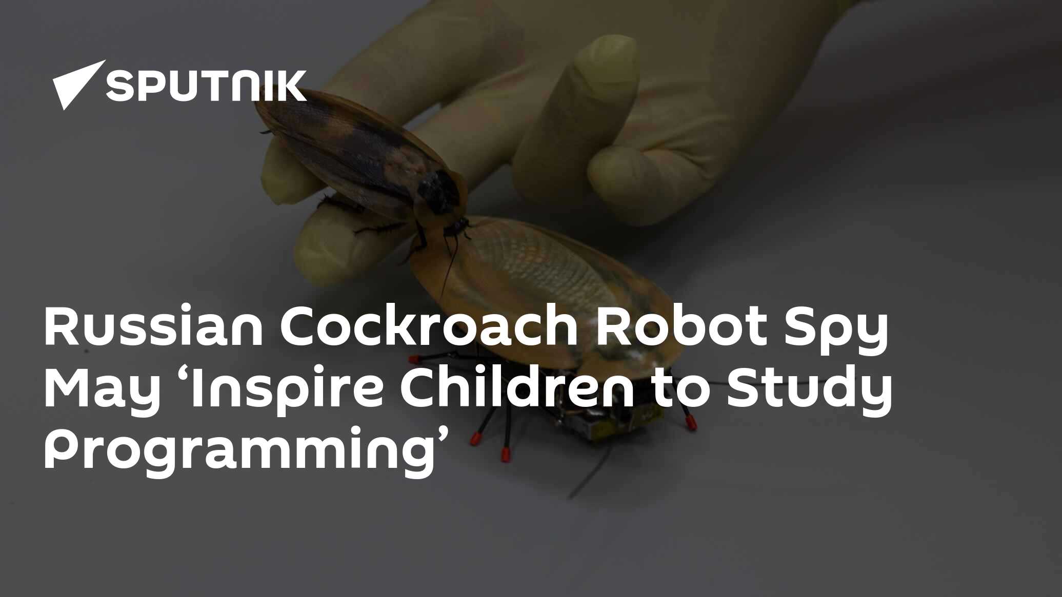 Russian Cockroach Robot Spy May ‘Inspire Children to Study Programming ...