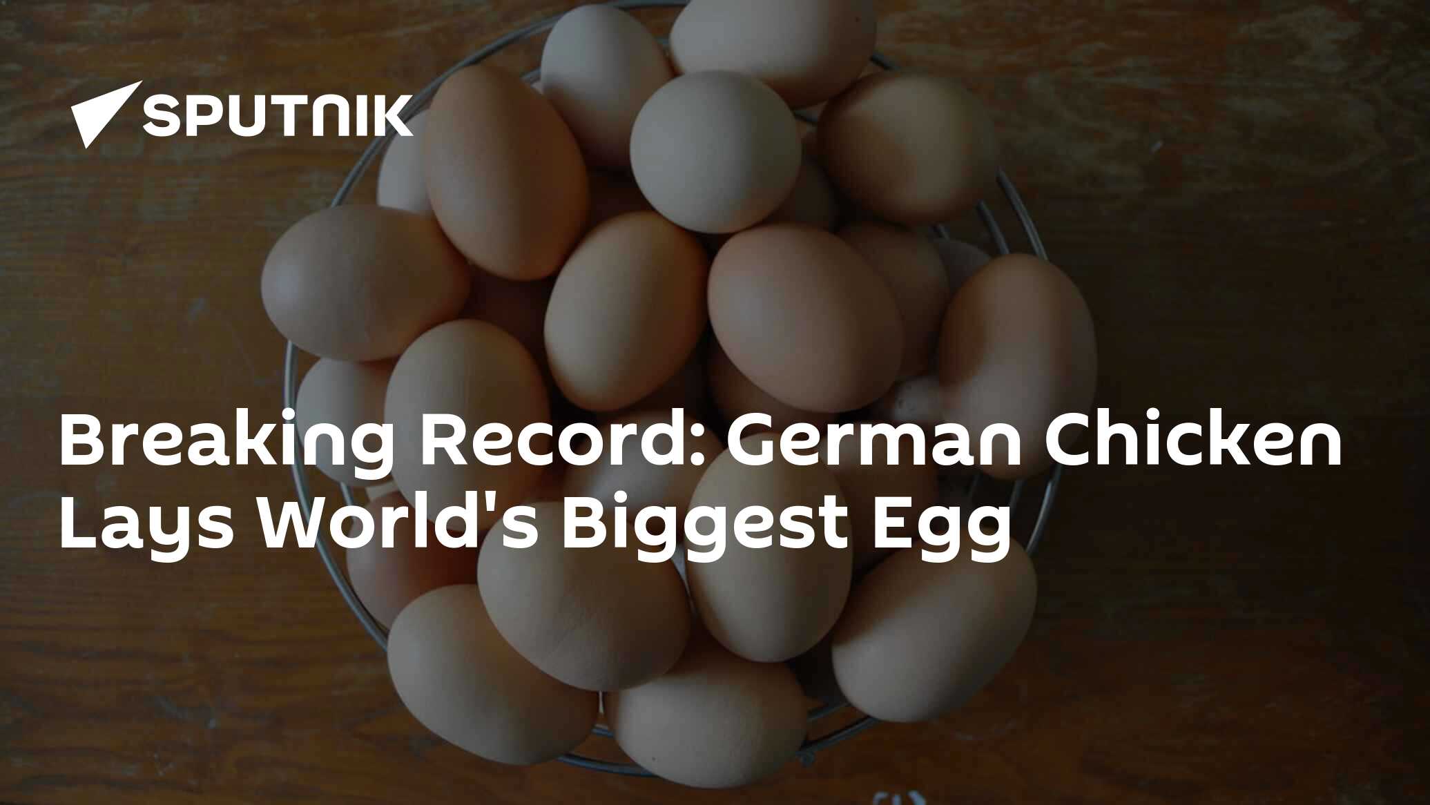 Breaking Record: German Chicken Lays World's Biggest Egg - 17.03.2016 ...