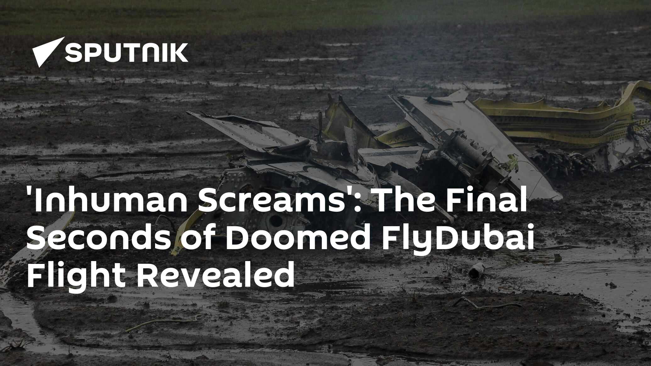 'Inhuman Screams': The Final Seconds of Doomed FlyDubai Flight Revealed ...