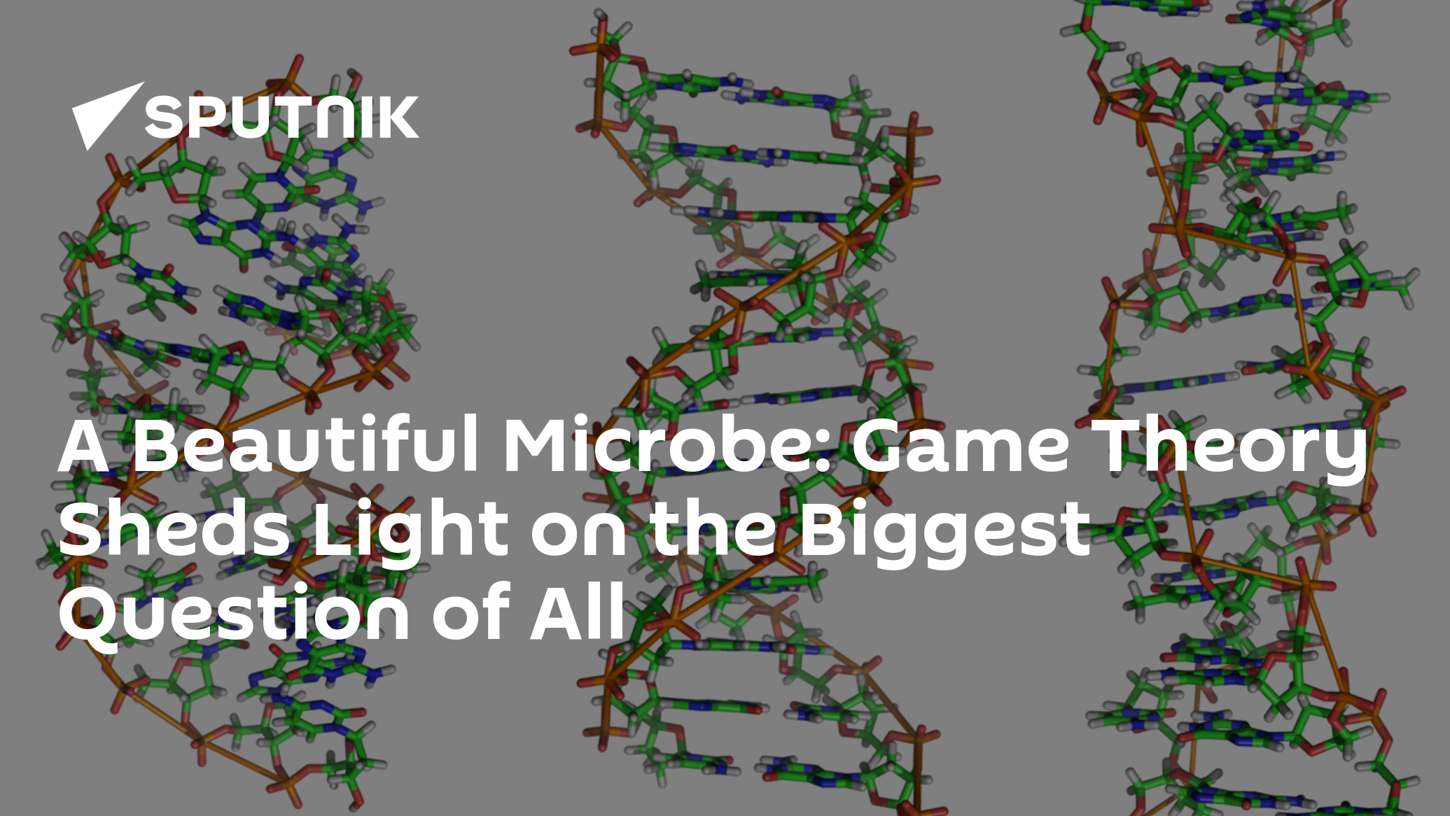 A Beautiful Microbe: Game Theory Sheds Light on the Biggest Question of ...