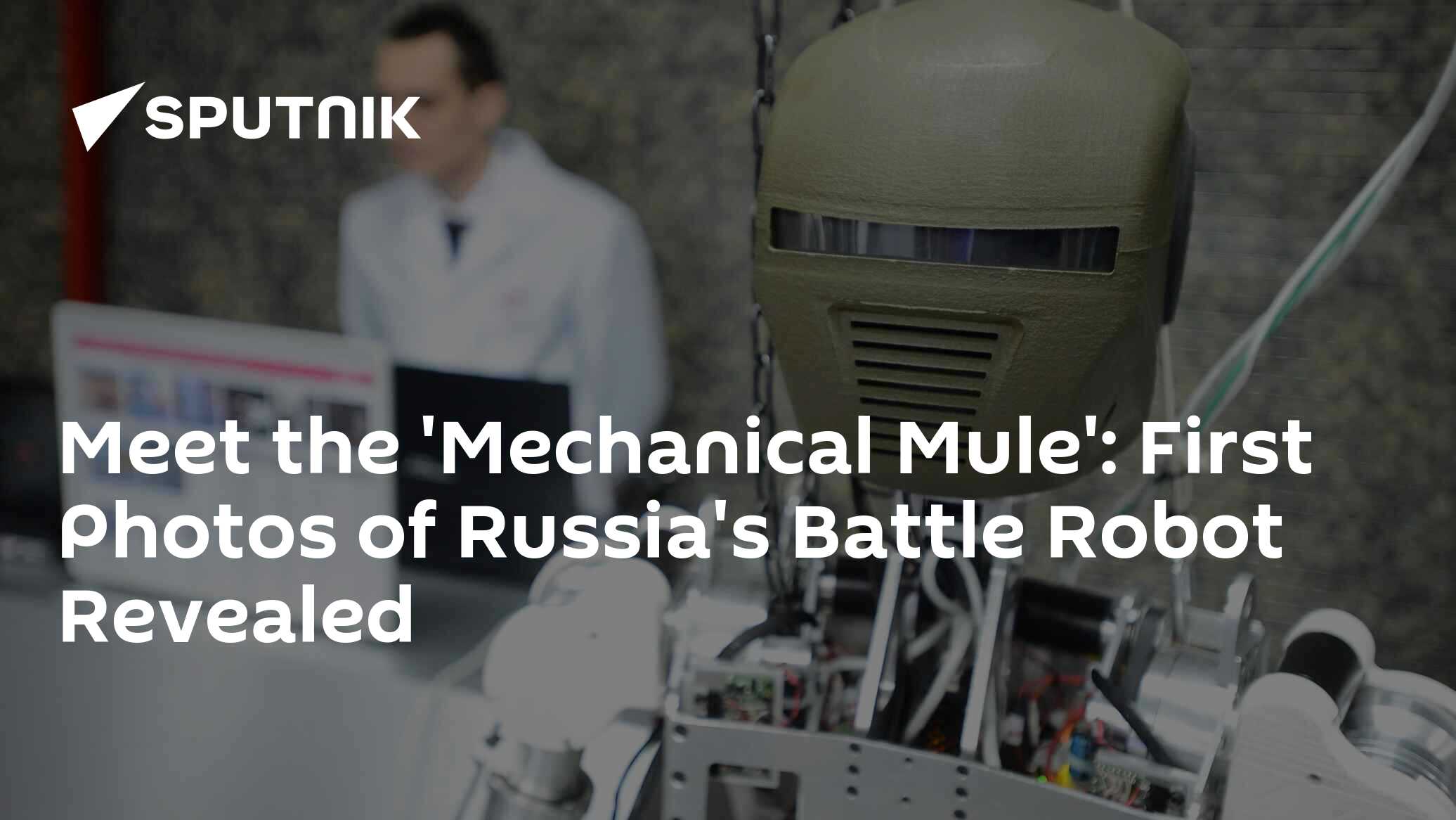 Meet the 'Mechanical Mule': First Photos of Russia's Battle Robot ...