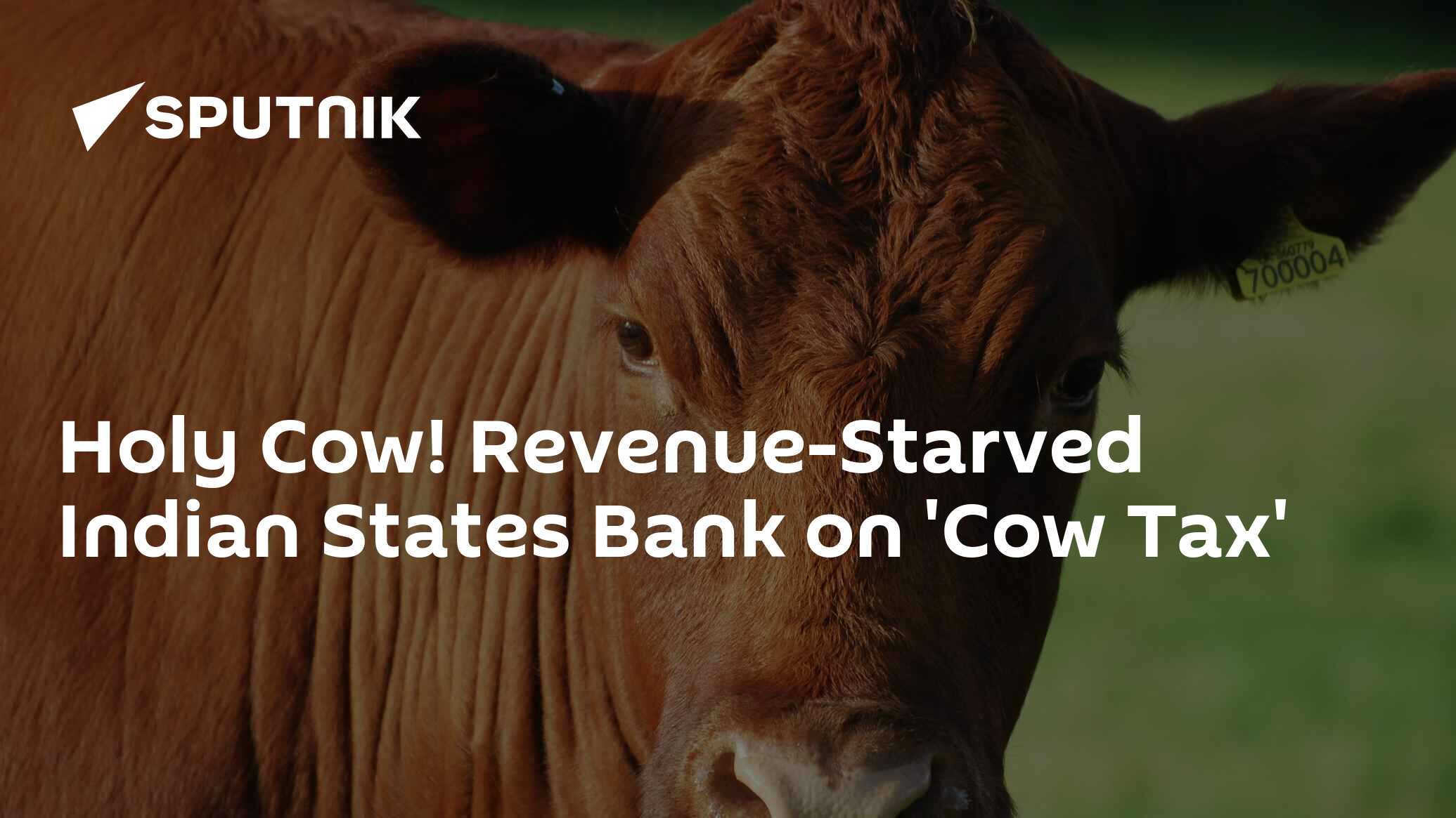 Holy Cow! Revenue-Starved Indian States Bank on 'Cow Tax' - 13.05.2016 ...