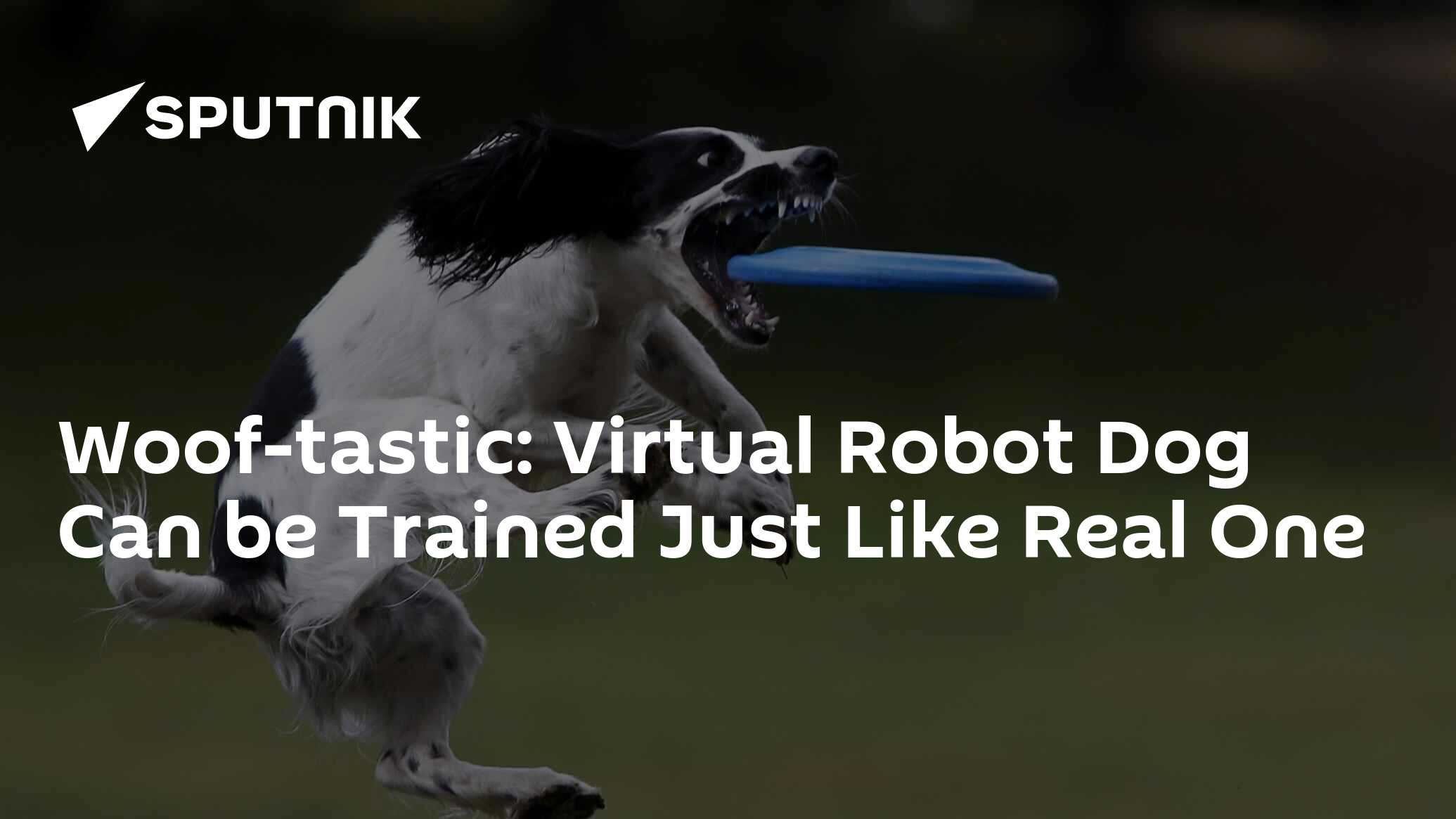 Woof-tastic: Virtual Robot Dog Can be Trained Just Like Real One - 17. ...