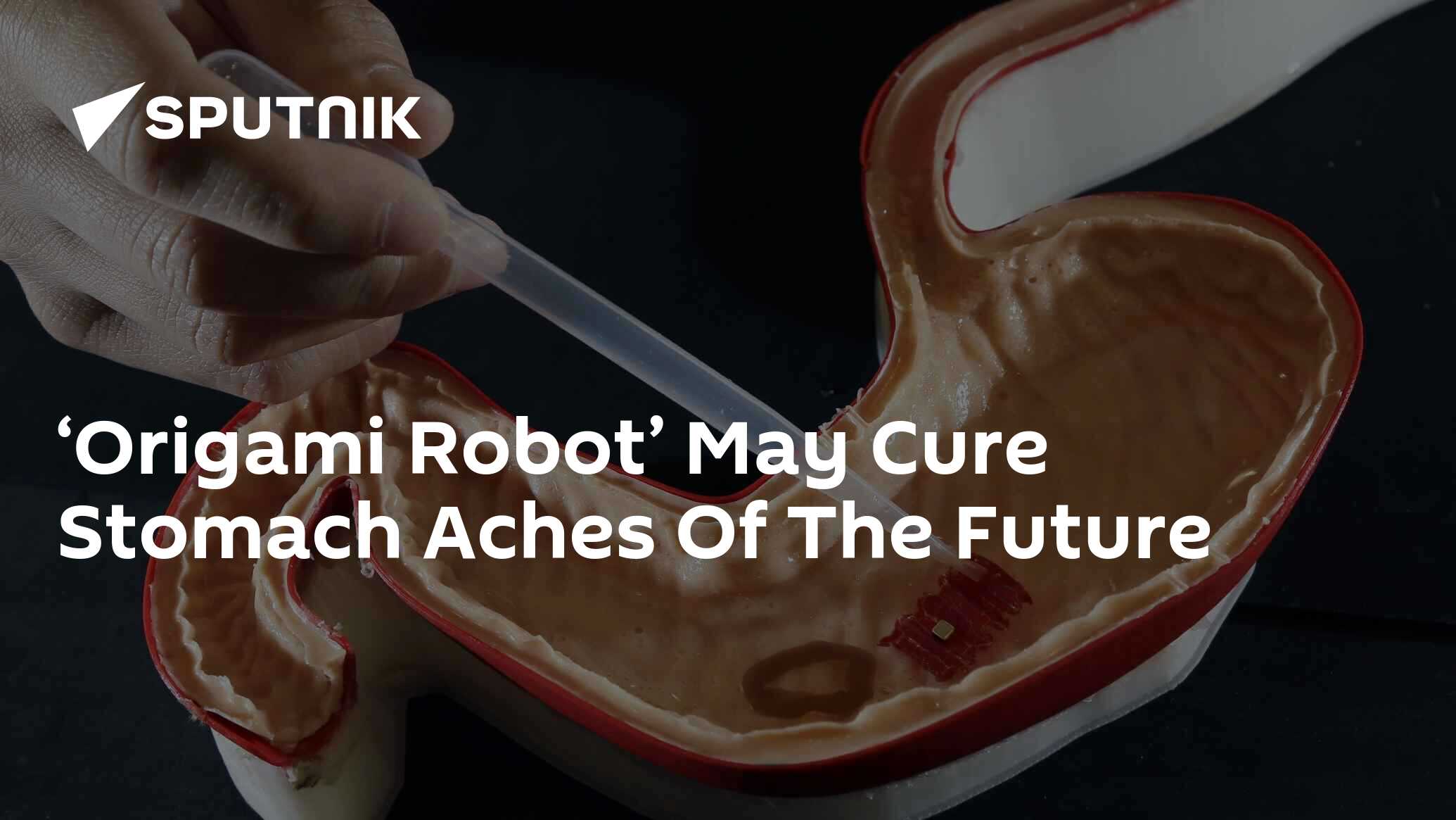 ‘Origami Robot’ May Cure Stomach Aches Of The Future - 20.07.2016 ...