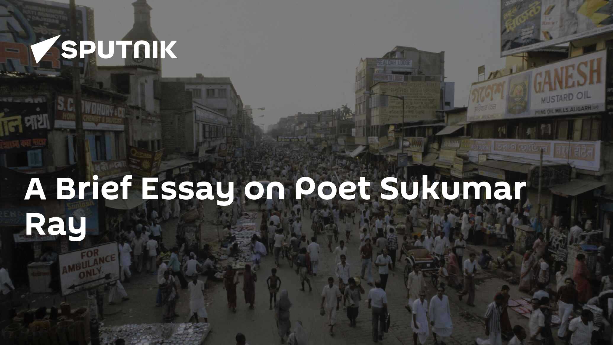 A Brief Essay on Poet Sukumar Ray - 03.08.2016, Sputnik International
