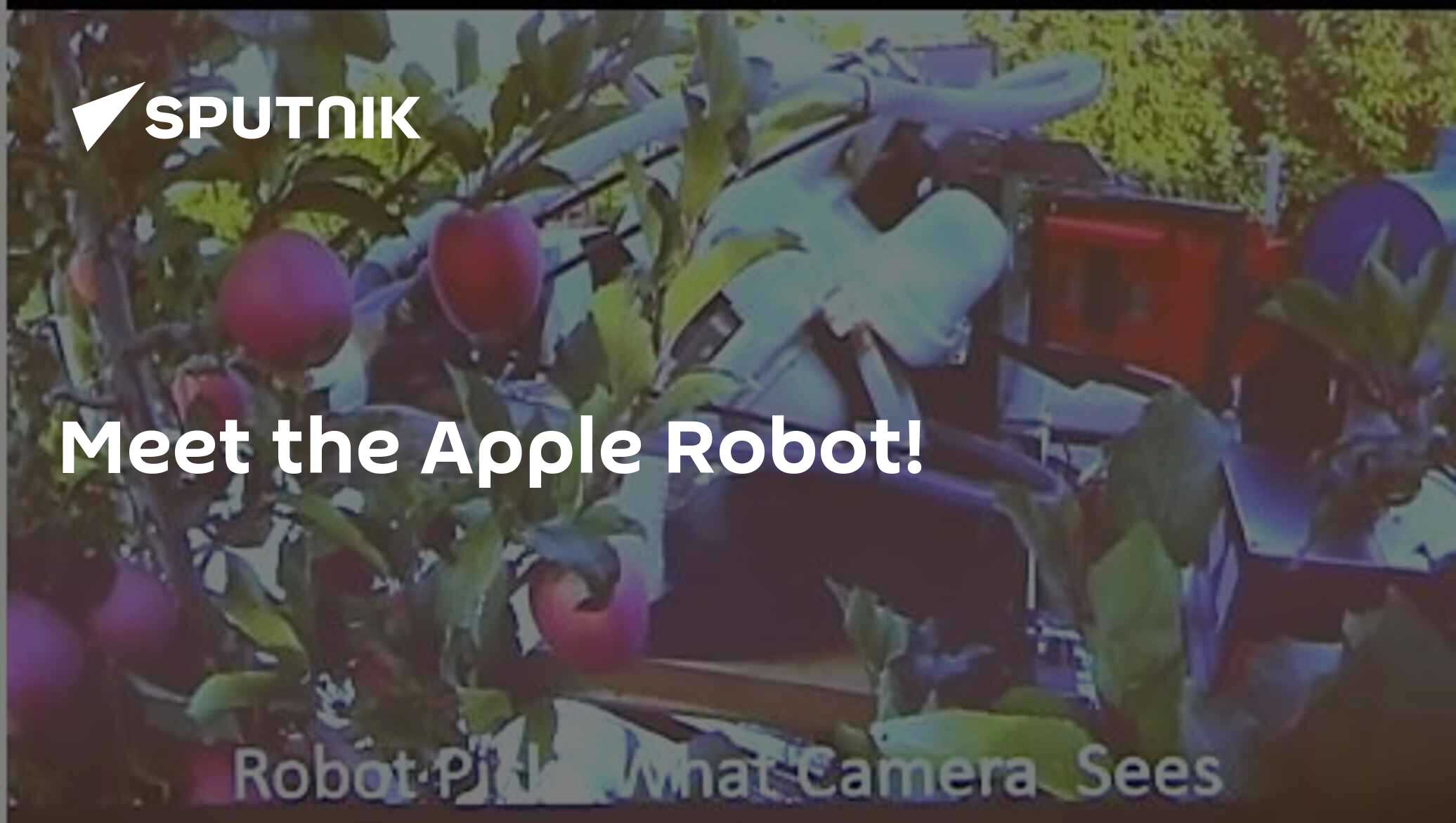 Meet the Apple Robot! - 11.08.2016, Sputnik International