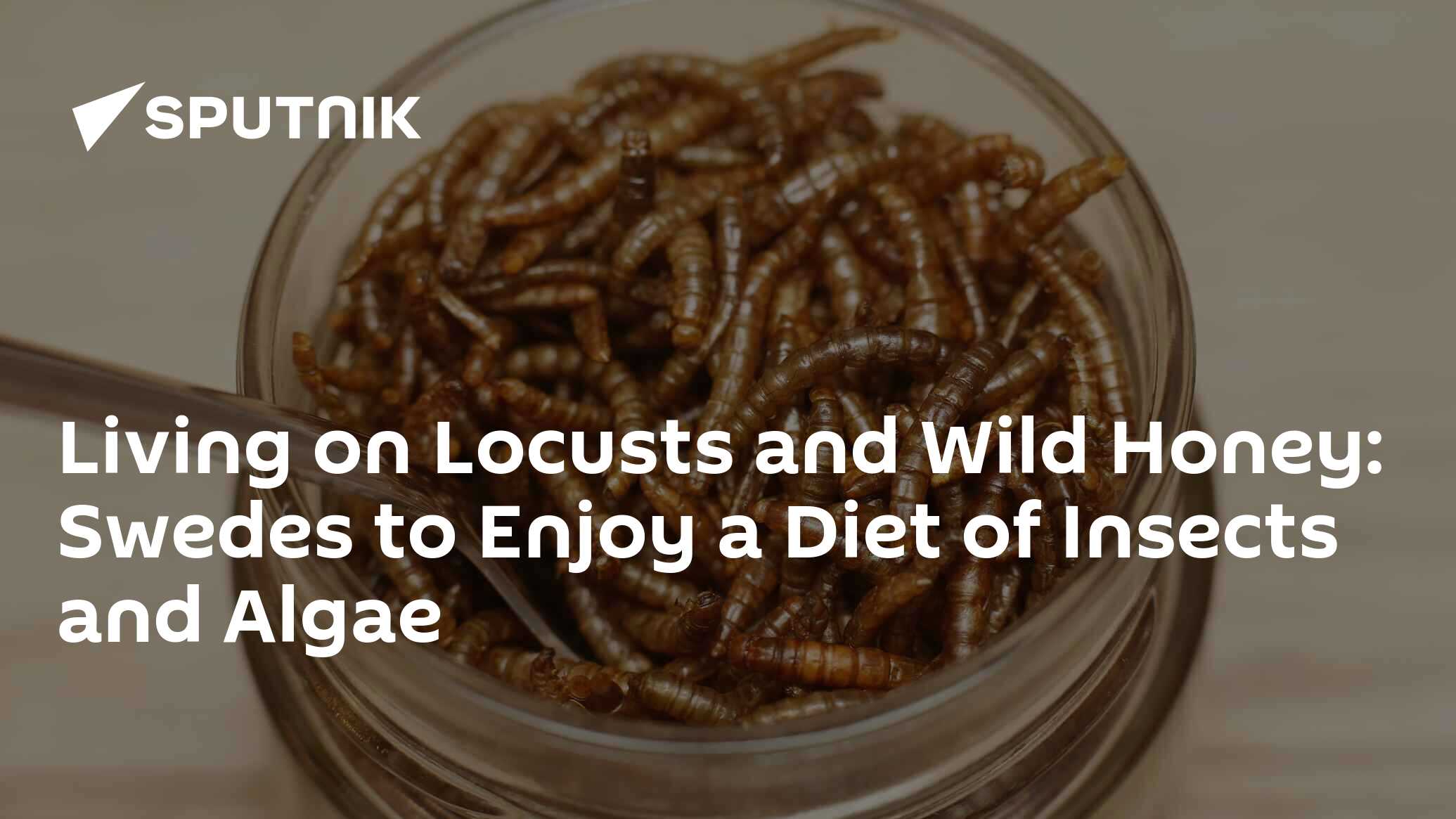 Living on Locusts and Wild Honey: Swedes to Enjoy a Diet of Insects and ...