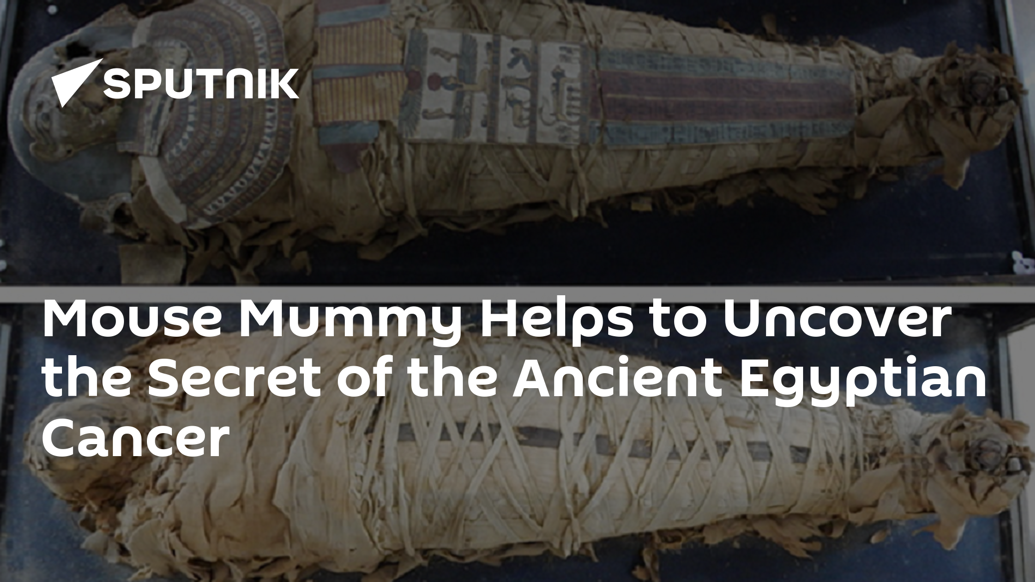 Mouse Mummy Helps to Uncover the Secret of the Ancient Egyptian Cancer ...