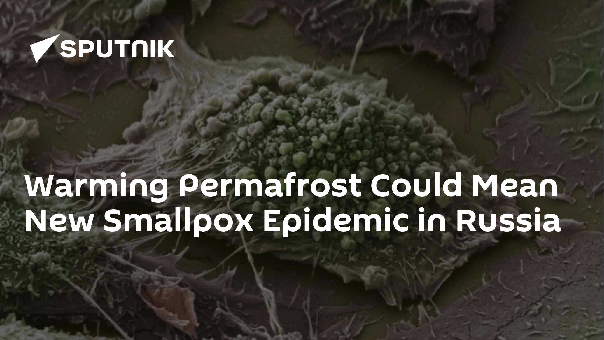 Warming Permafrost Could Mean New Smallpox Epidemic in Russia - 19.08. ...