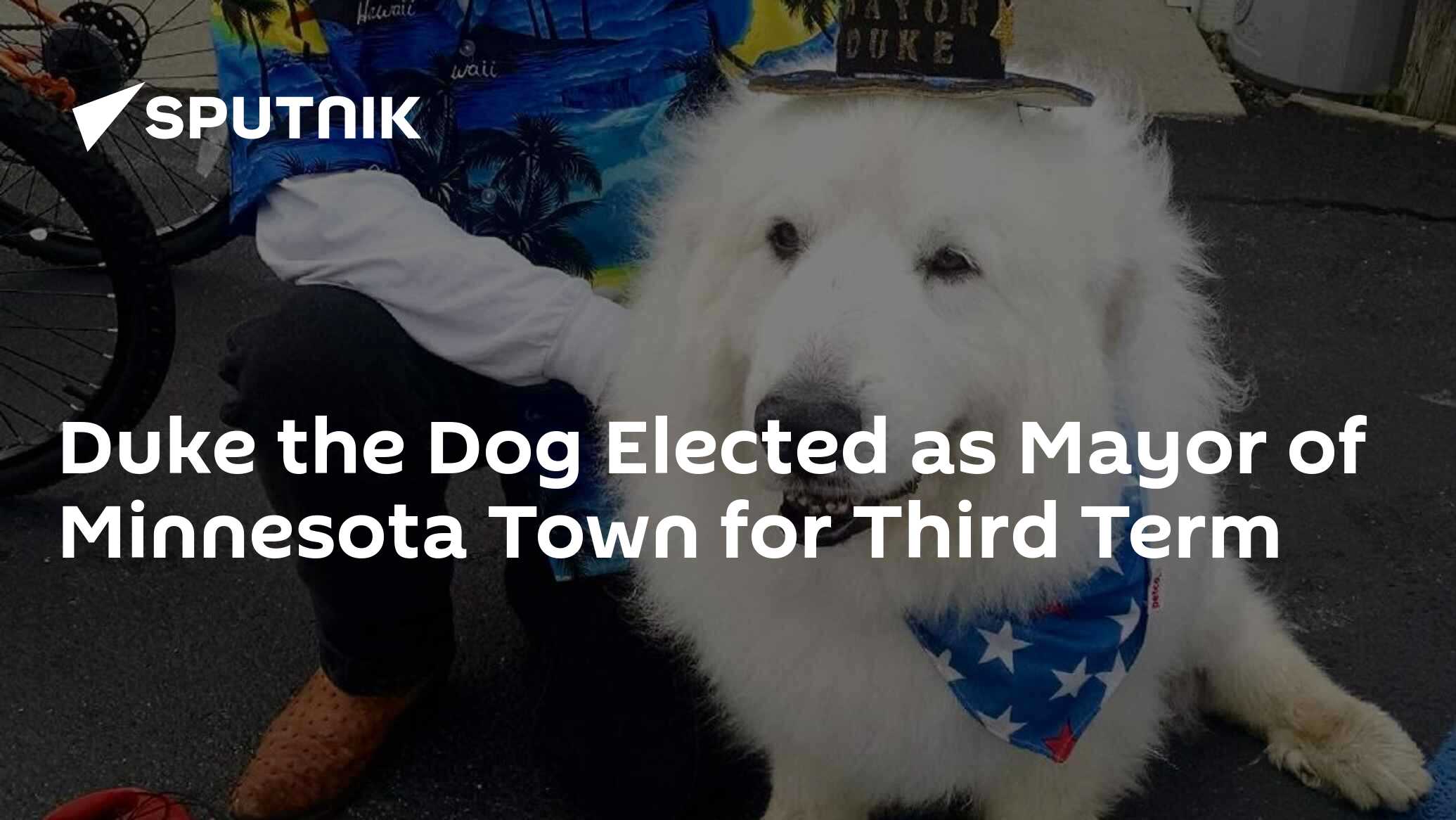 Duke the Dog Elected as Mayor of Minnesota Town for Third Term - 25.08. ...
