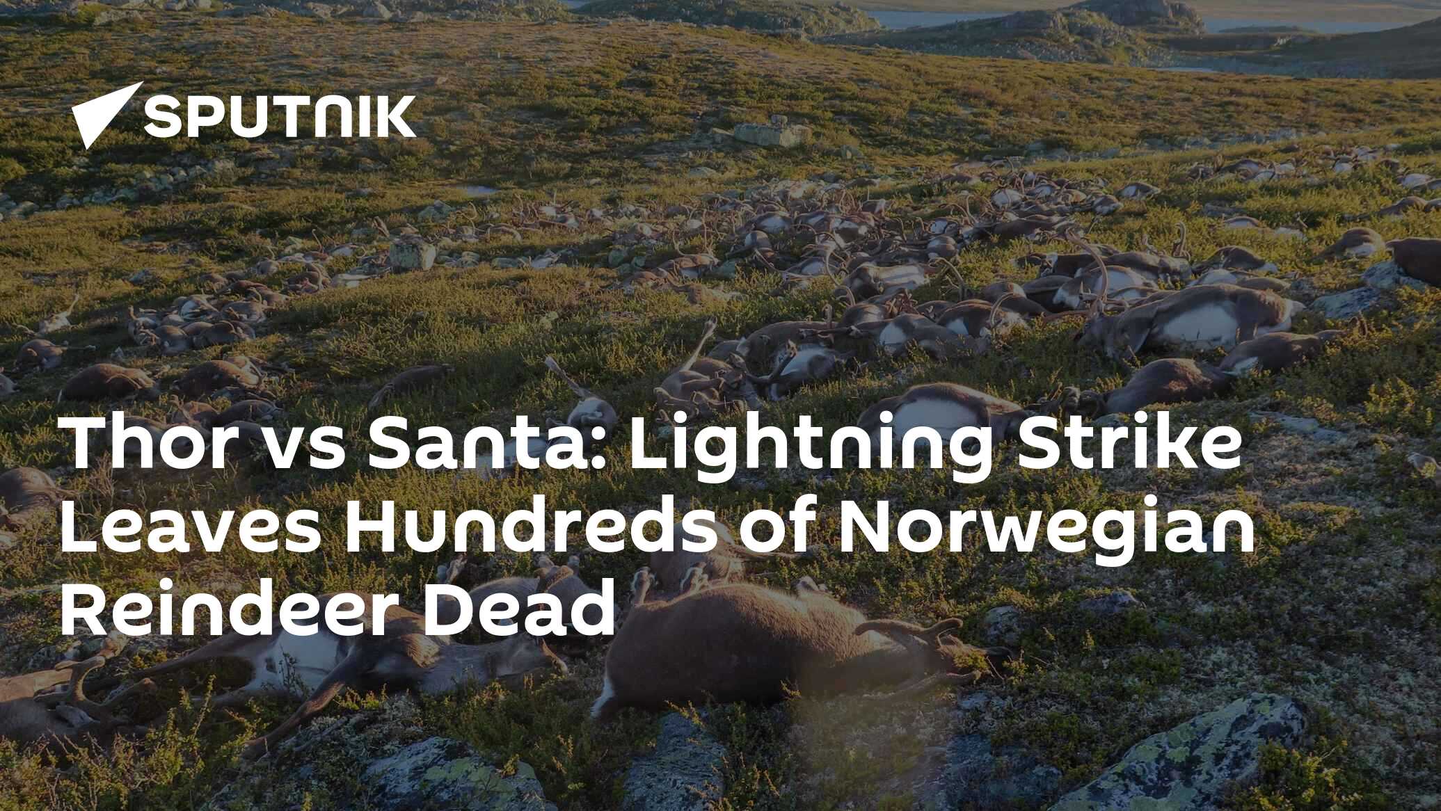 Thor vs Santa: Lightning Strike Leaves Hundreds of Norwegian Reindeer ...