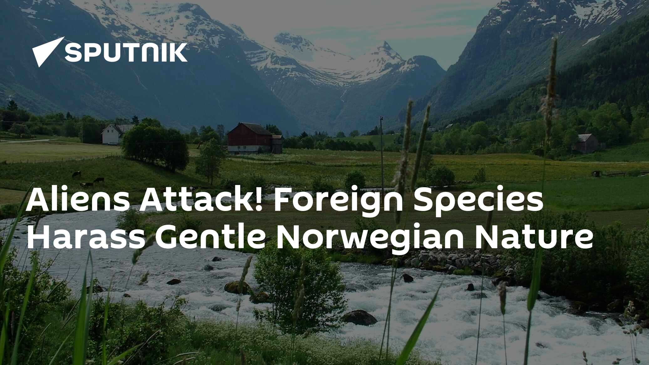Aliens Attack! Foreign Species Harass Gentle Norwegian Nature - 07.09. ...
