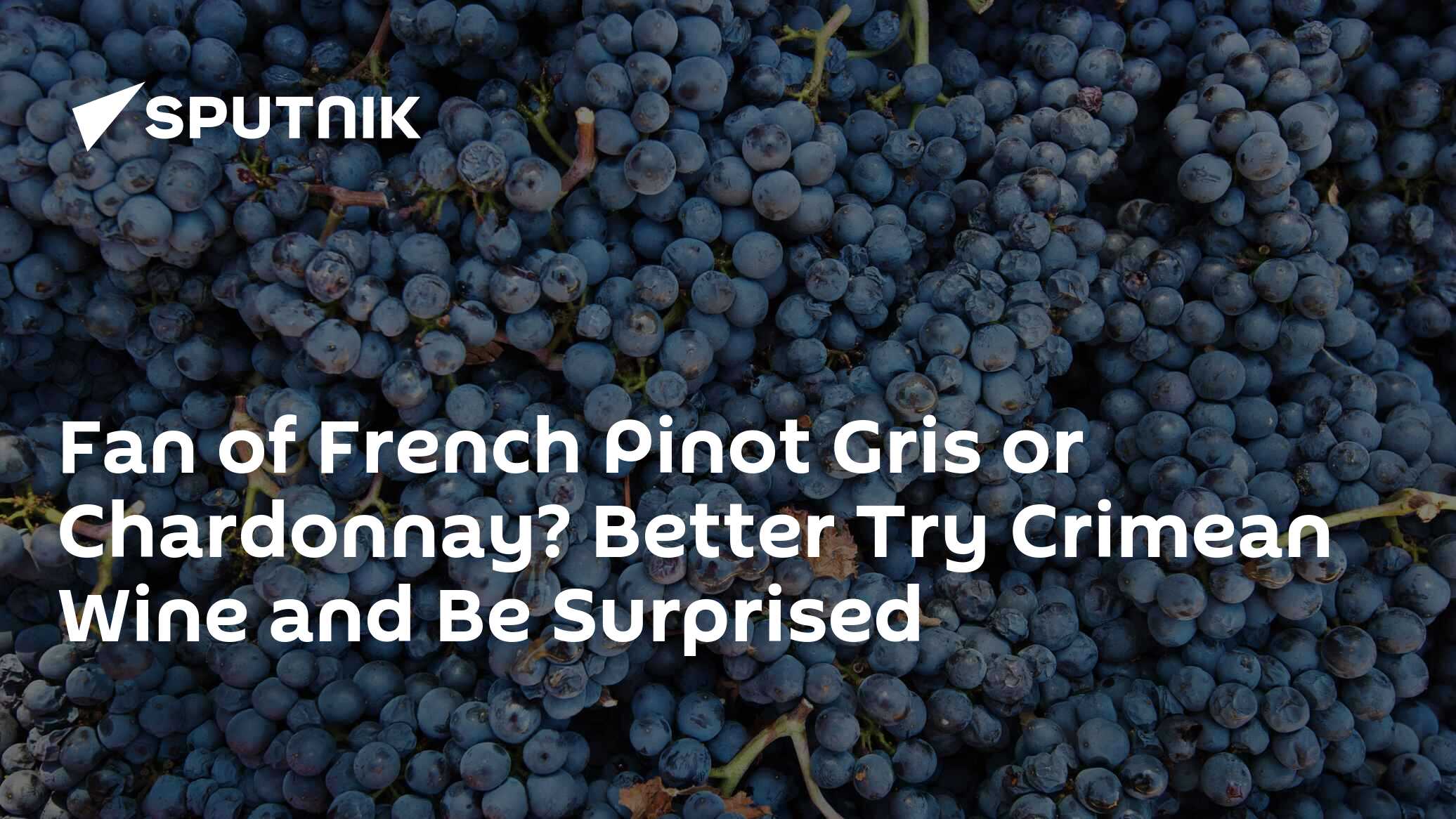 Fan of French Pinot Gris or Chardonnay? Better Try Crimean Wine and Be ...