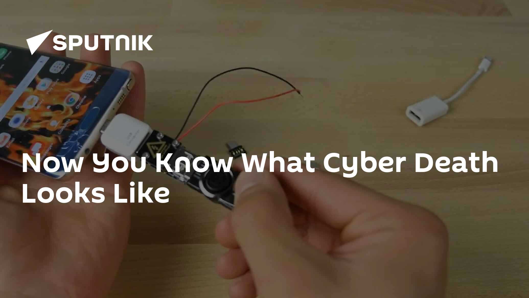 Now You Know What Cyber Death Looks Like - 06.10.2016, Sputnik ...