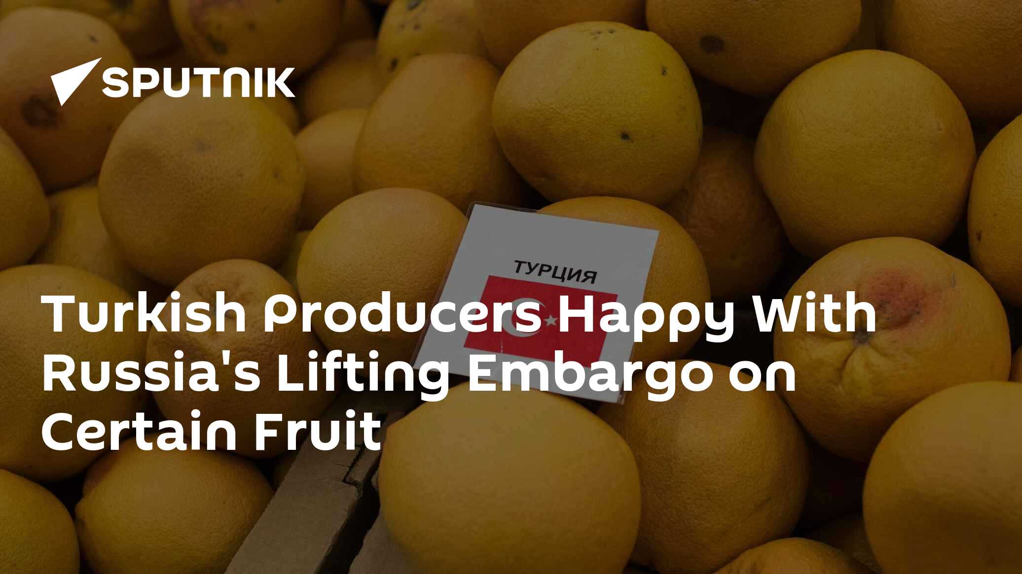 Turkish Producers Happy With Russia's Lifting Embargo on Certain Fruit ...