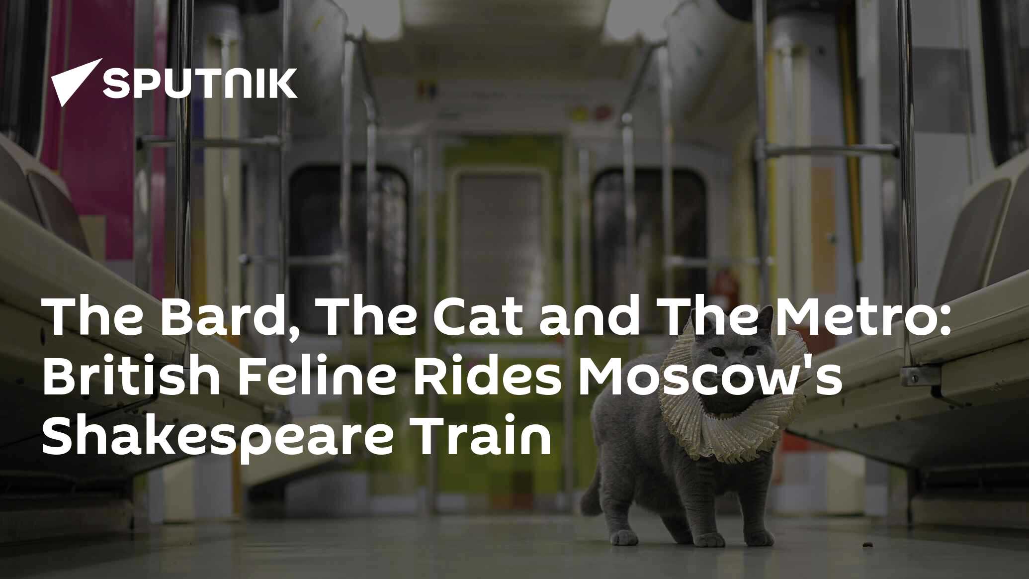 The Bard, The Cat and The Metro: British Feline Rides Moscow's ...