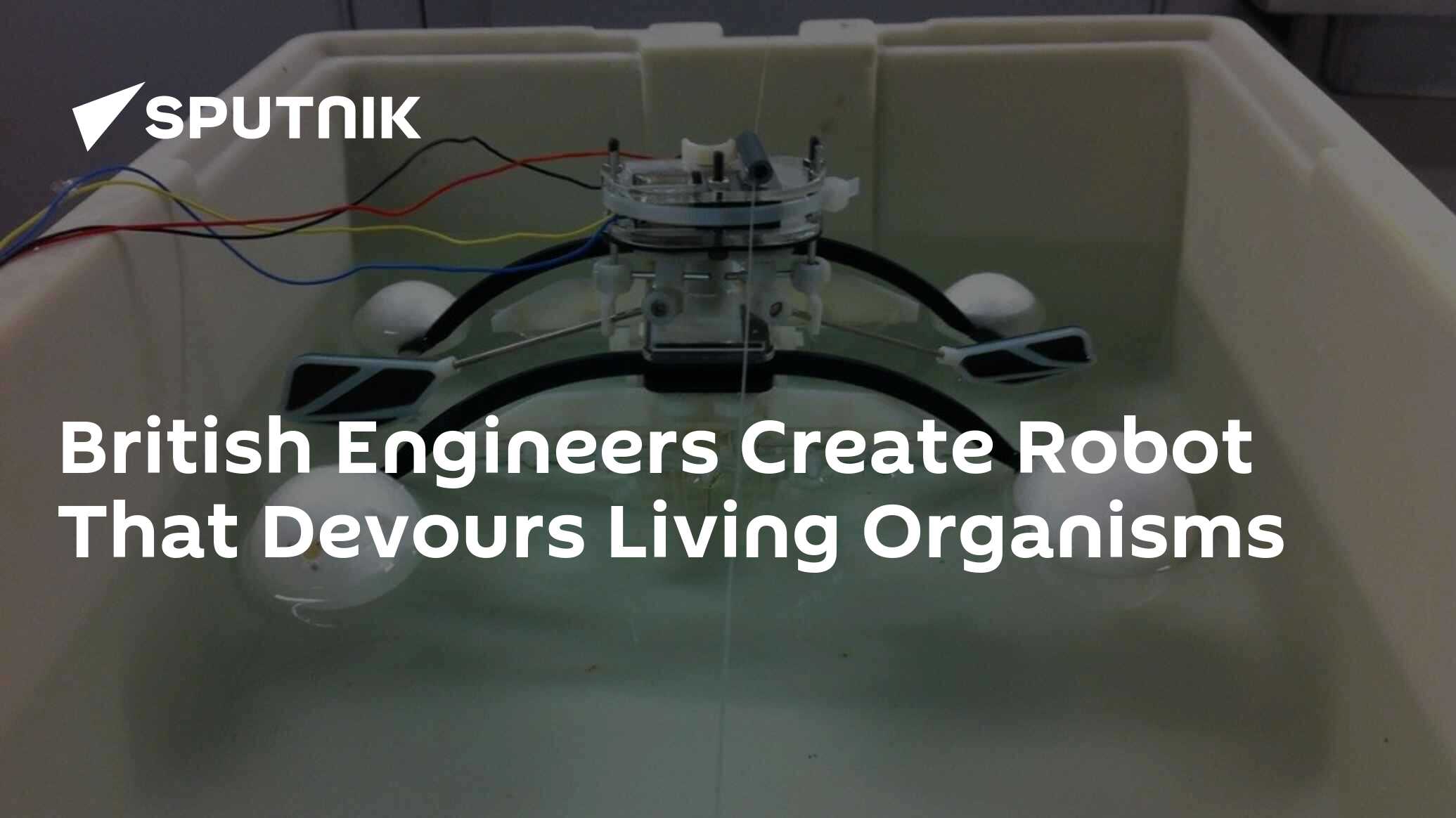 British Engineers Create Robot That Devours Living Organisms - 31.10. ...