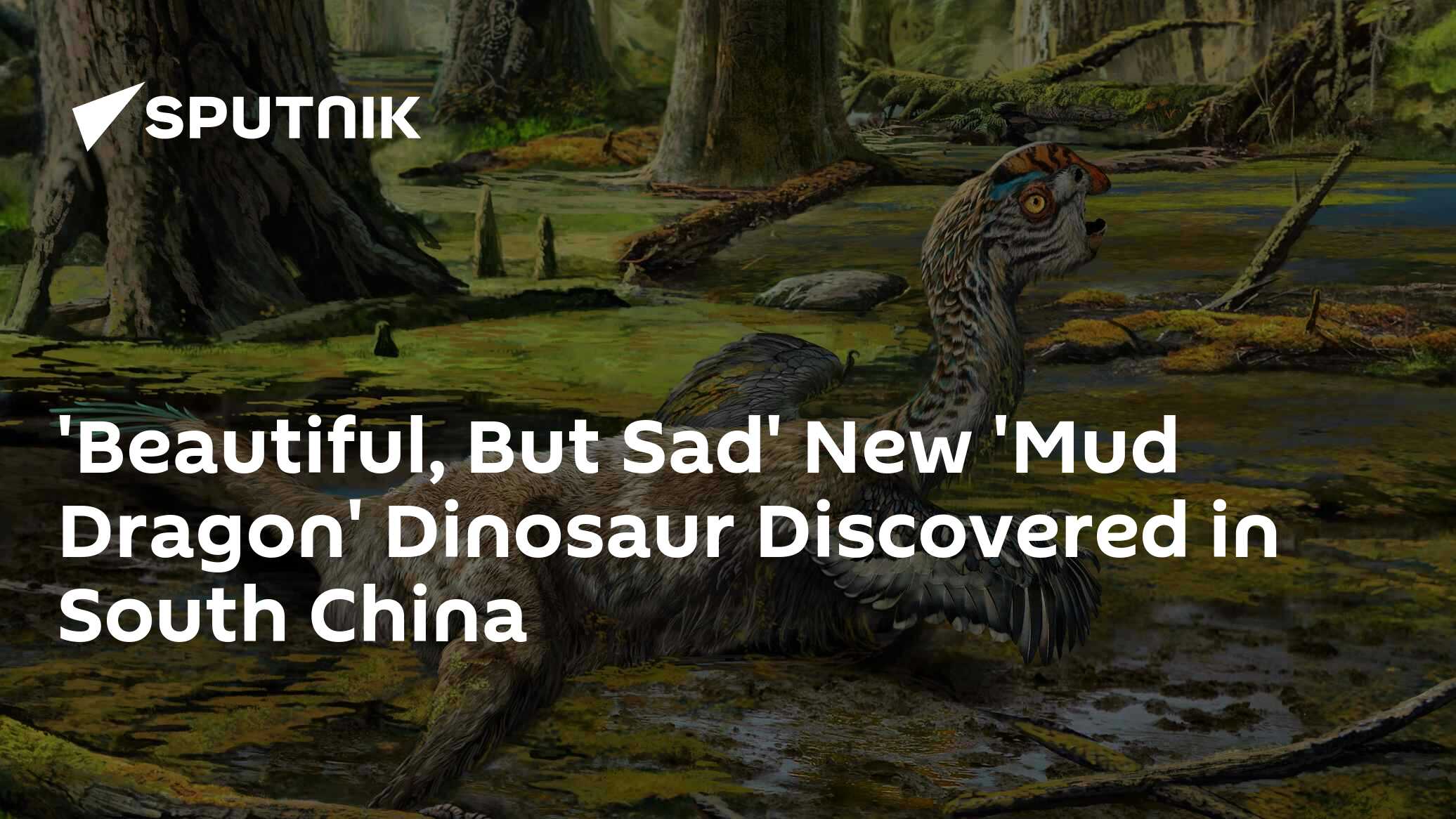 'Beautiful, But Sad' New 'Mud Dragon' Dinosaur Discovered in South ...