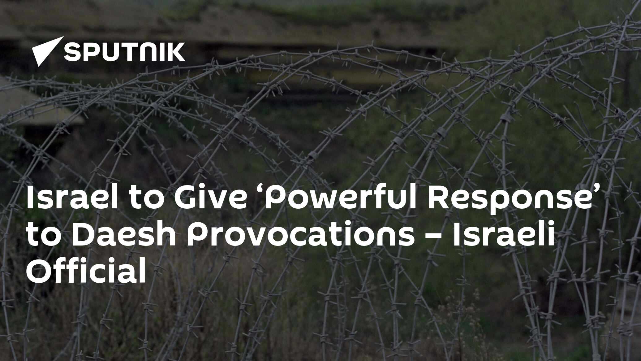 Israel to Give ‘Powerful Response’ to Daesh Provocations – Israeli ...