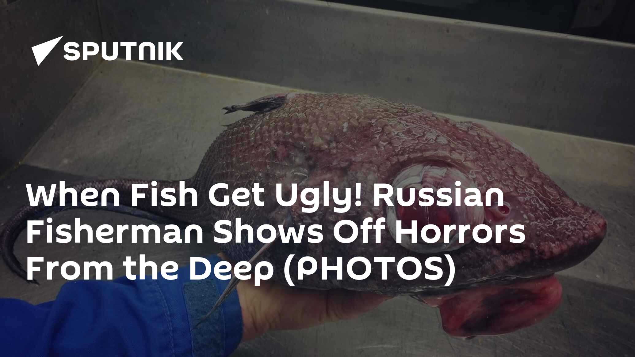 When Fish Get Ugly! Russian Fisherman Shows Off Horrors From the Deep ...
