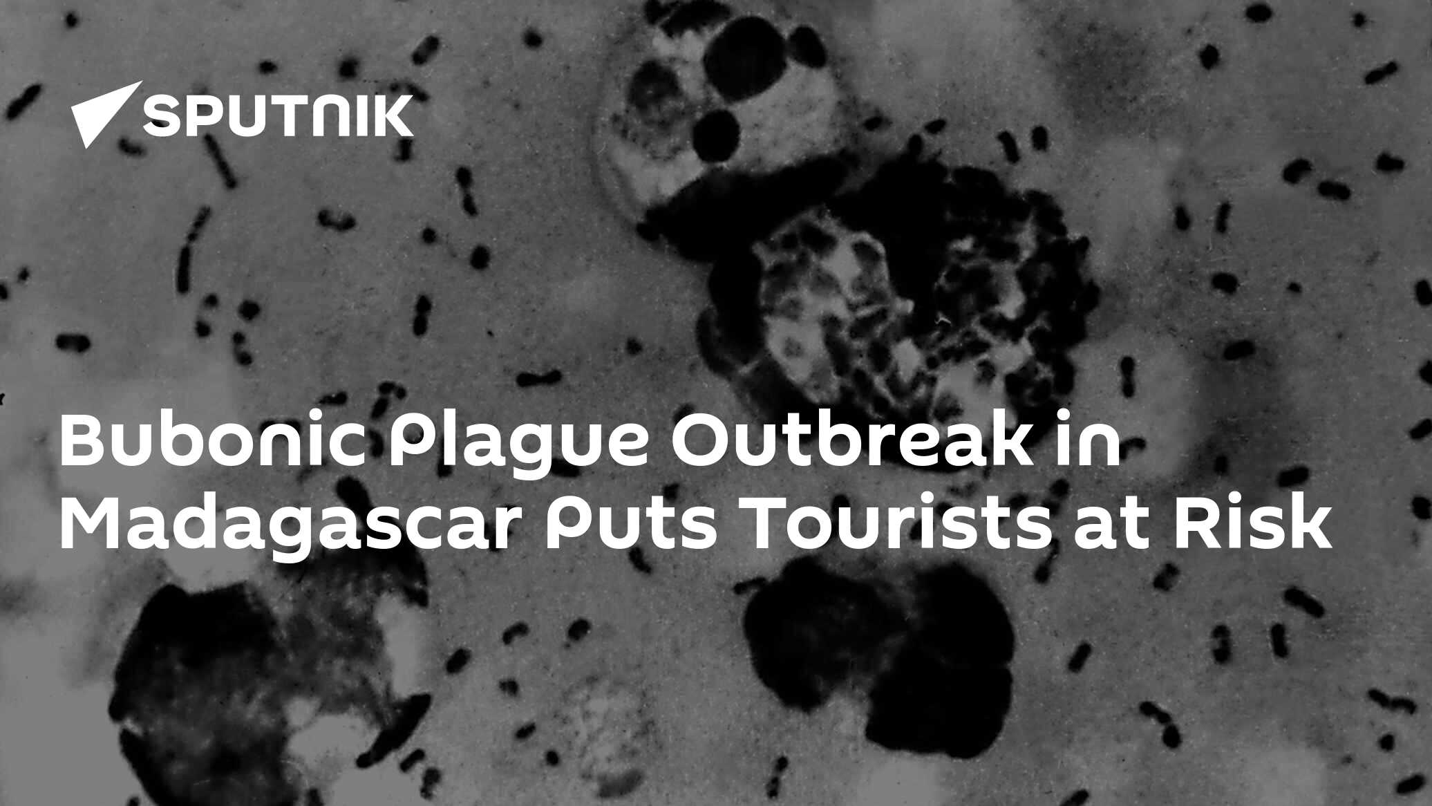 Bubonic Plague Outbreak in Madagascar Puts Tourists at Risk - 31.12. ...