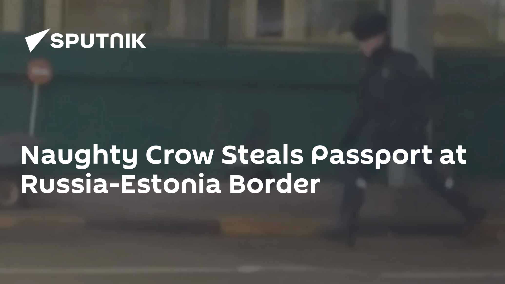 Naughty Crow Steals Passport at Russia-Estonia Border - 04.01.2017 ...