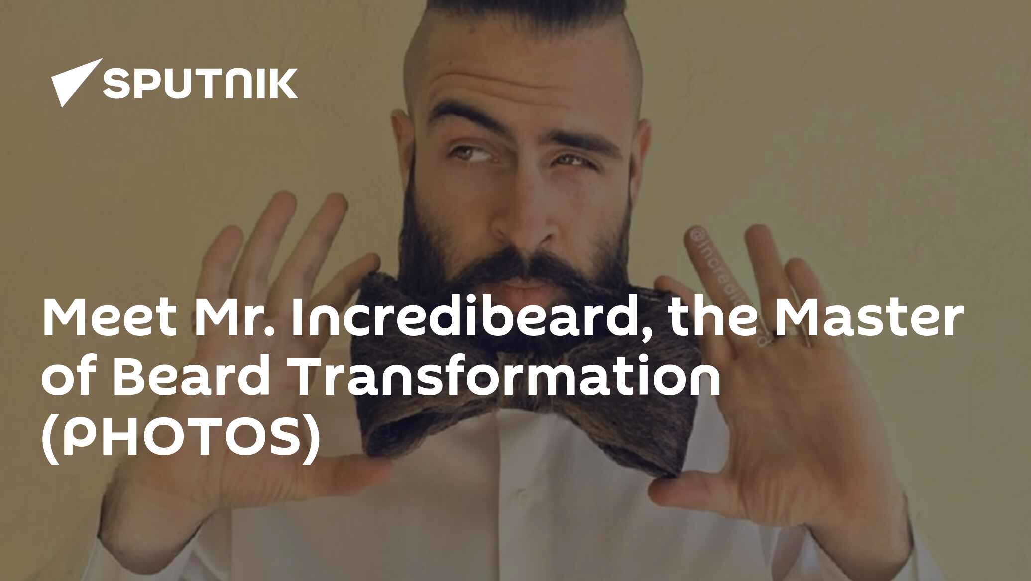 Meet Mr. Incredibeard, the Master of Beard Transformation (PHOTOS) - 16 ...