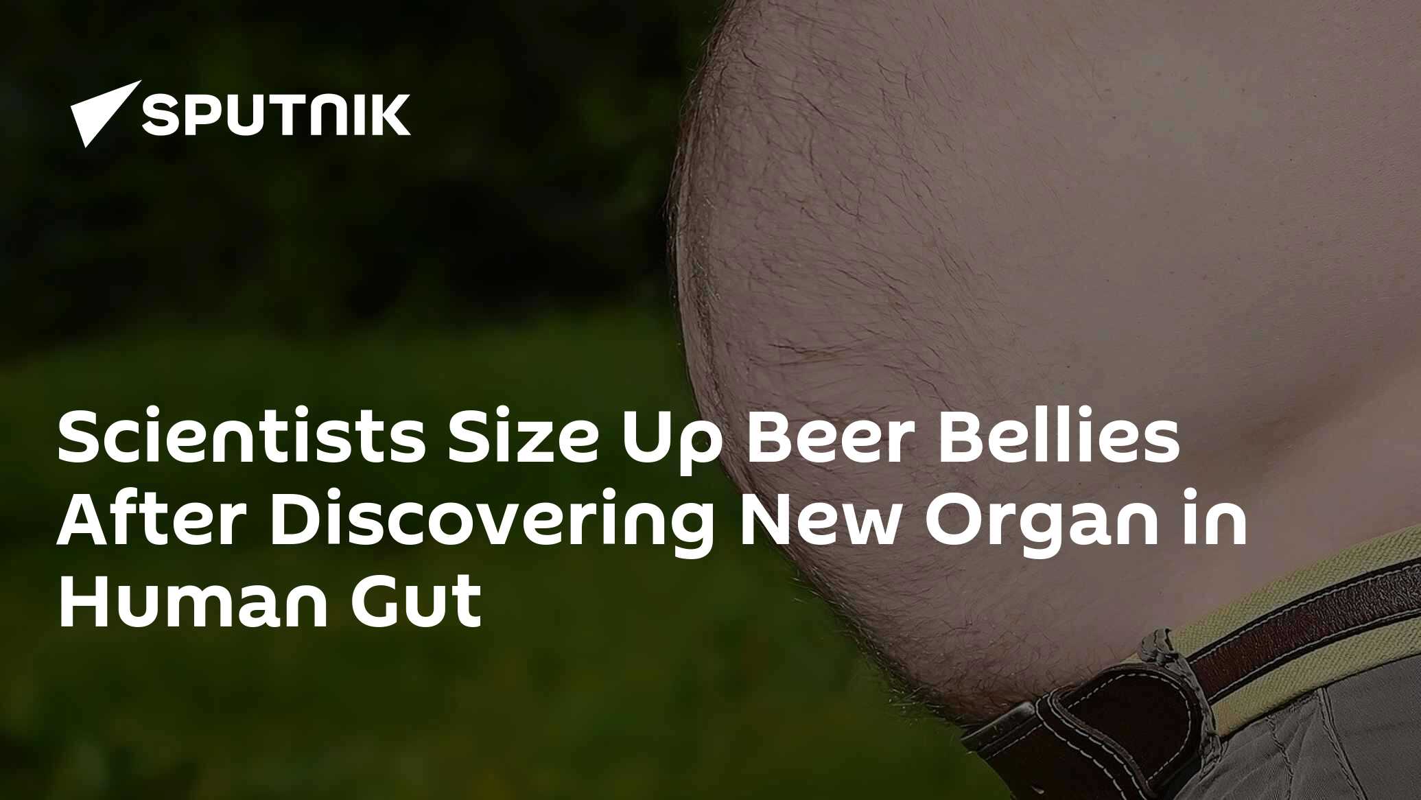 Scientists Size Up Beer Bellies After Discovering New Organ in Human ...