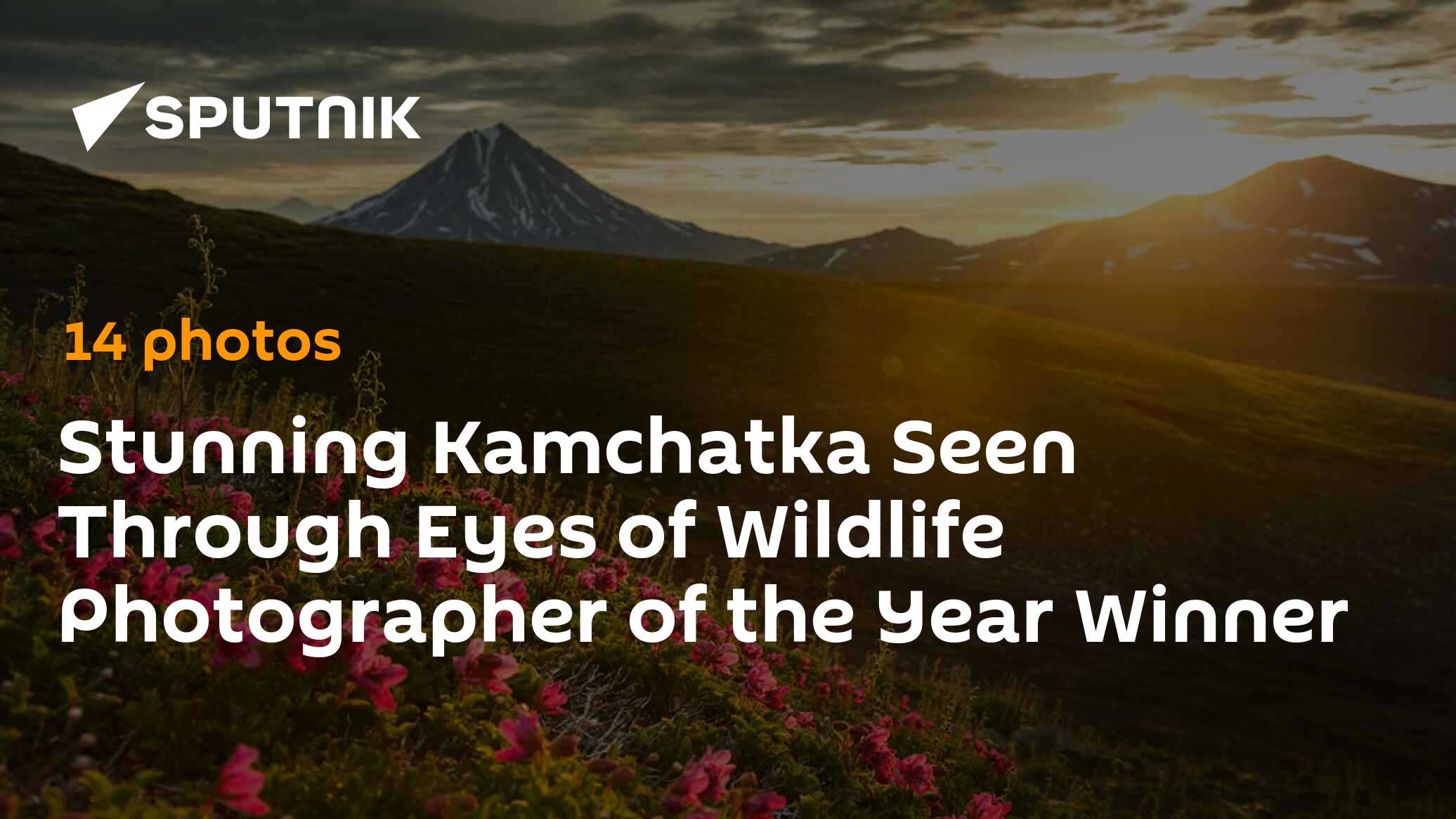 Stunning Kamchatka Seen Through Eyes of Wildlife Photographer of the ...